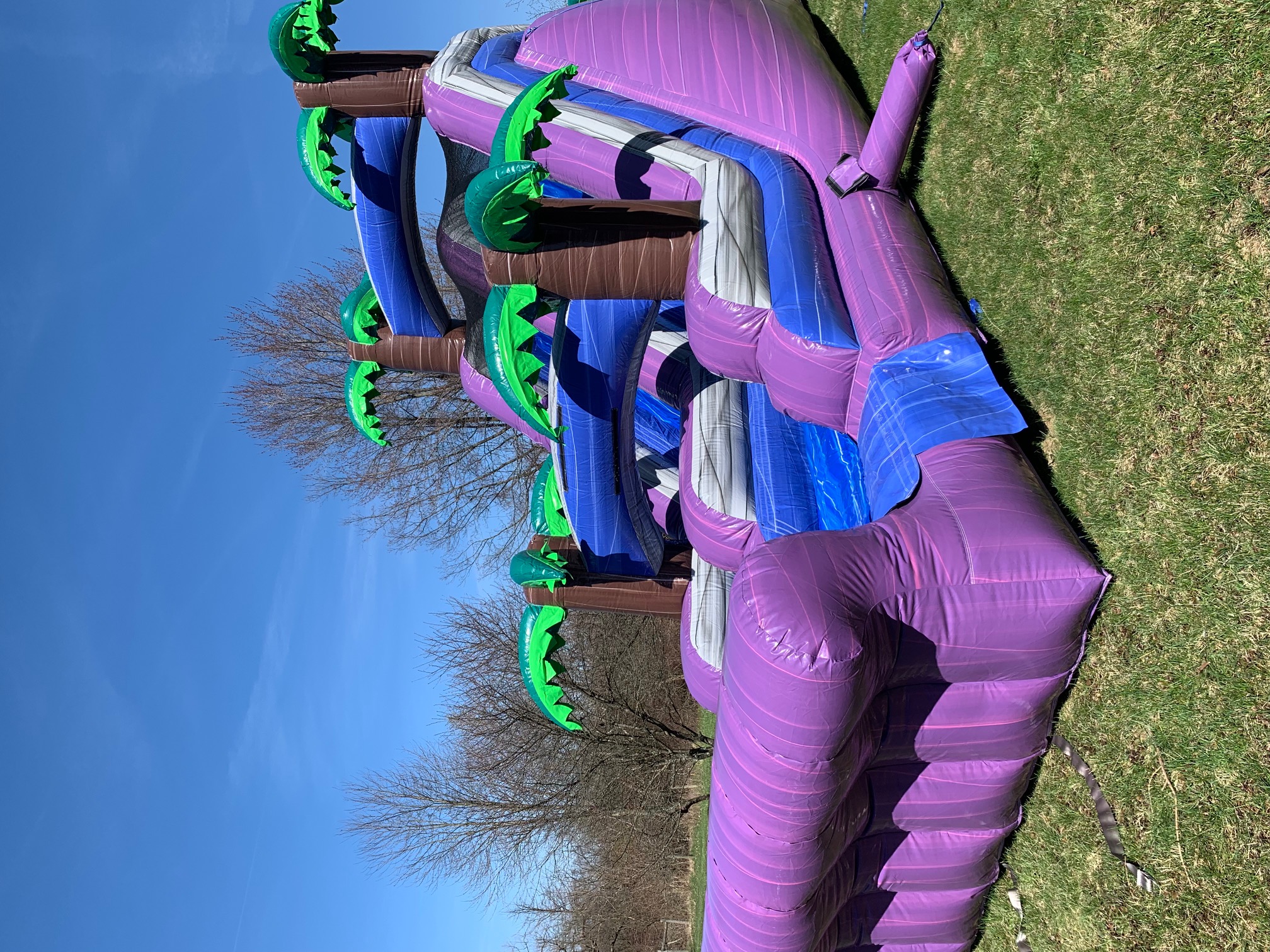 Purple Crush Dual Splash Down Slide | Pittsburgh & Hermitage