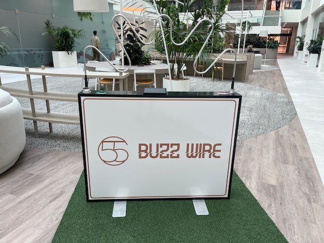 Buy Giant Buzz Wire Game Australia