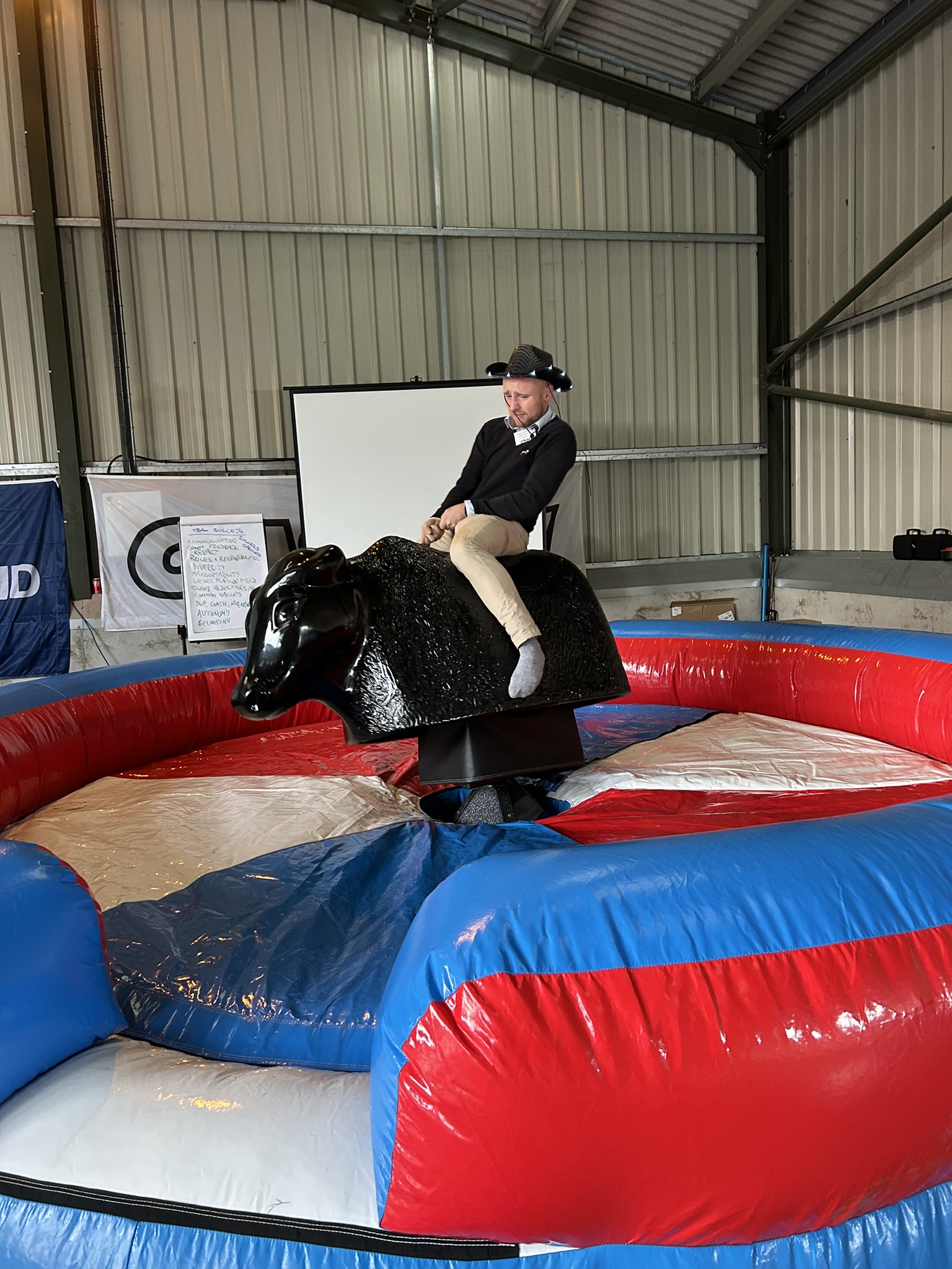 Rodeo Bull hire from DBL Castles