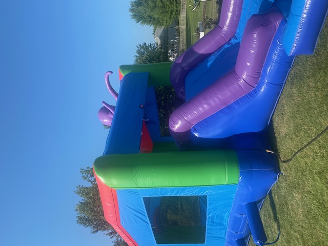 Octopus Bounce House Waterslide Combo - Party & Event Rentals in North ...