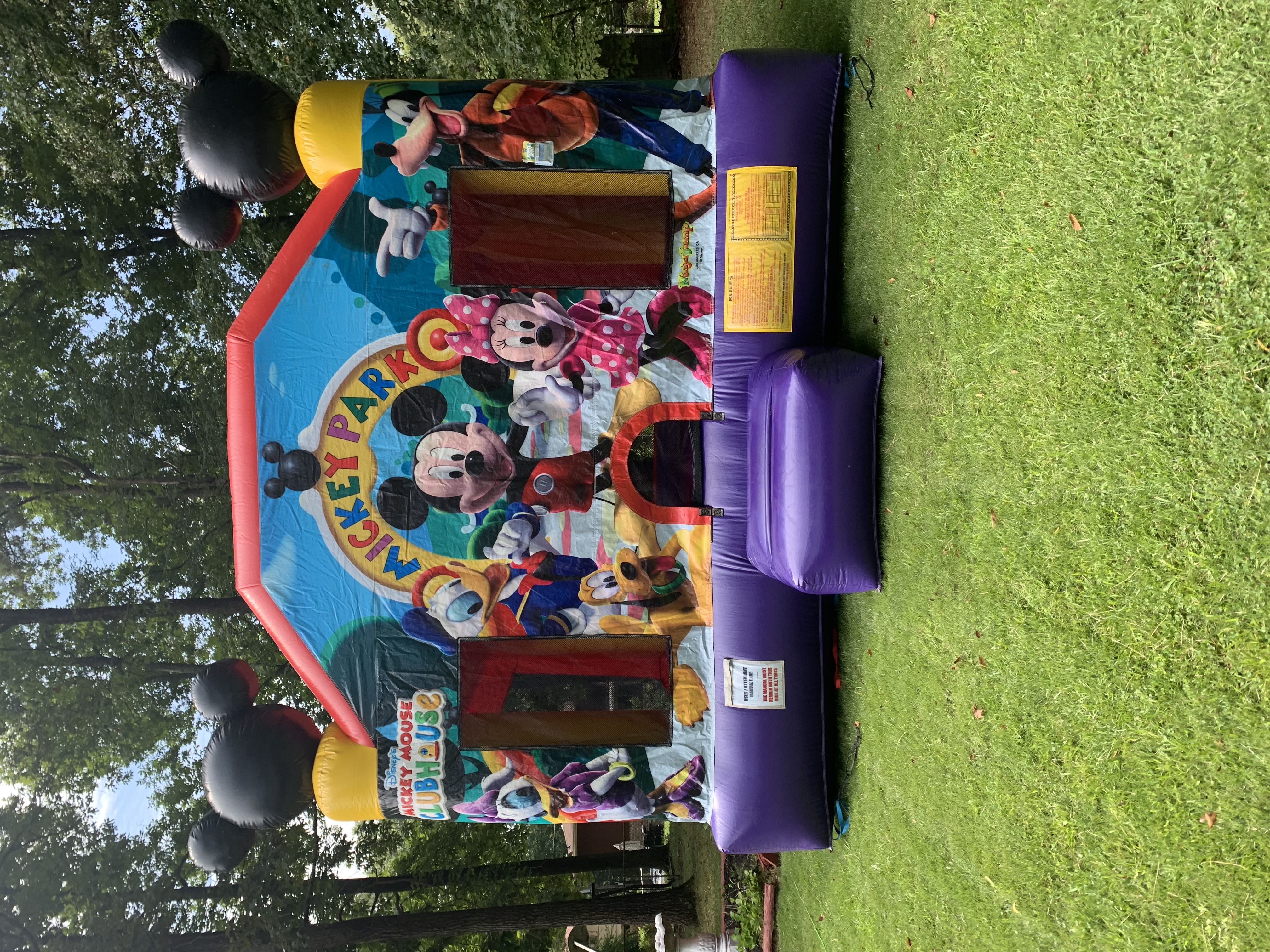 Mickey Park Bounce House - Bounce House Rental in Atlanta | Fly High ...