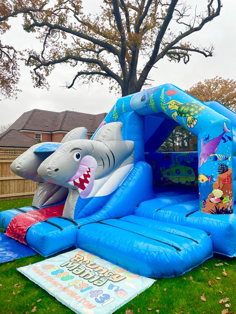 Bounce n Slide Castles - Bouncy Castle Hire in Greater London | Bouncy ...