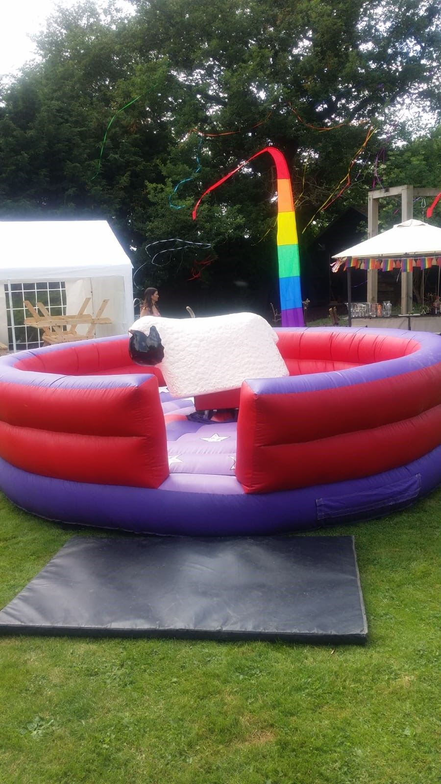 Rodeo Sheep hire - Rodeo Bull Hire in Essex, London & Nationwide ...