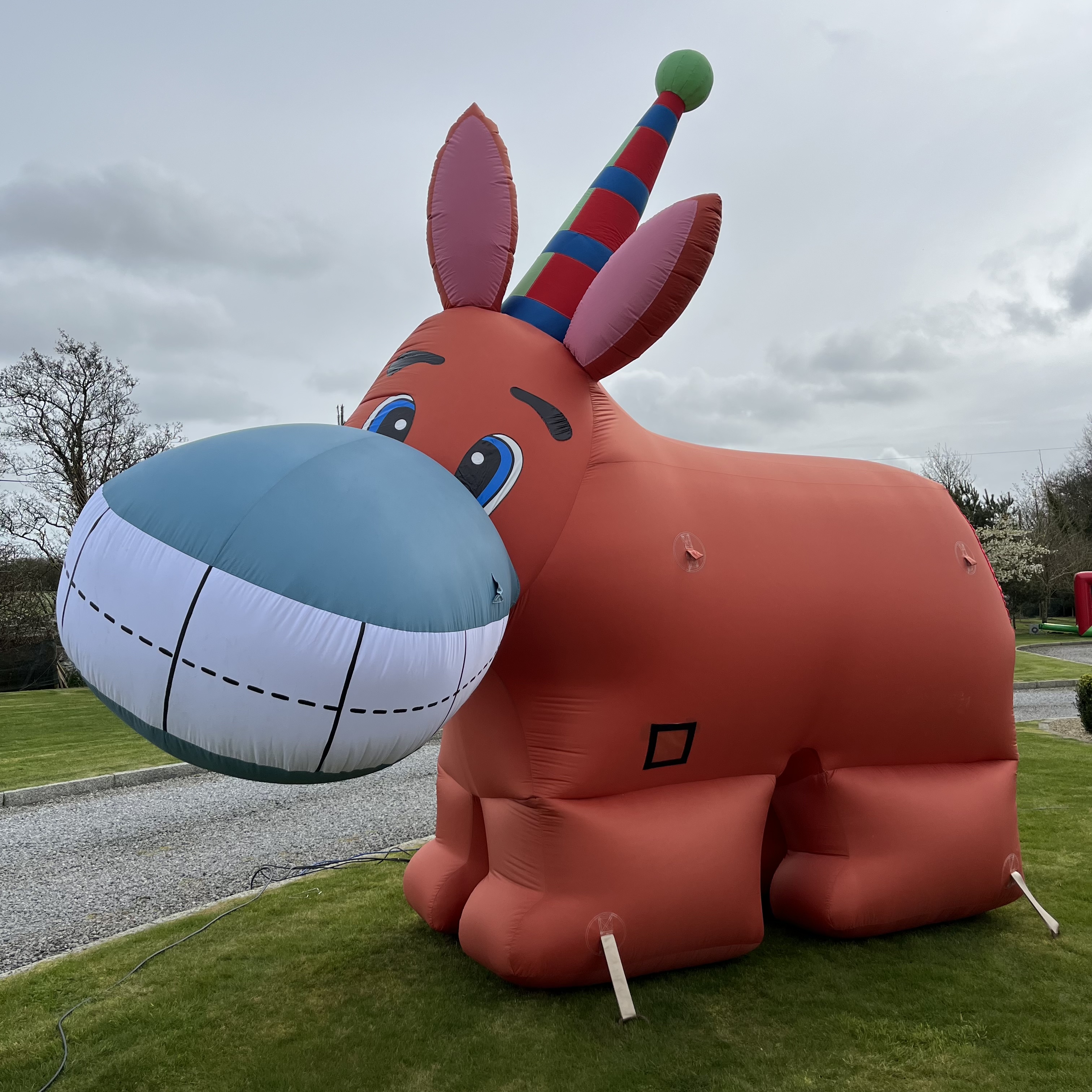 Pin the Tail on the Jumbo Donkey - Bouncy Castle Hire in Wexford Town ...