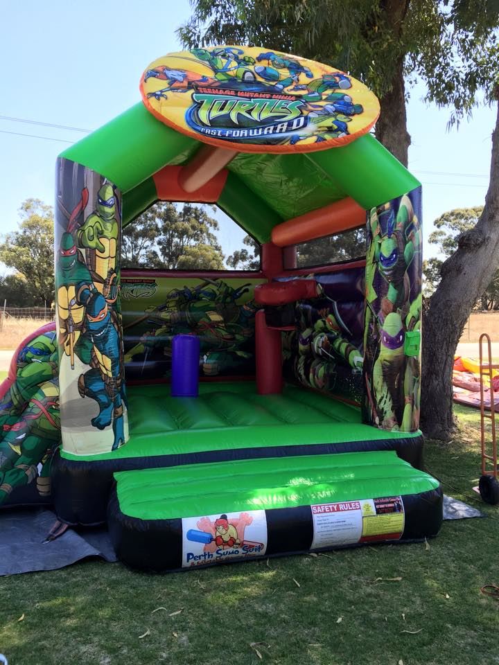 Ninja Turtles Double Slide Combo - Bouncy Castle Hire and Water Slides ...