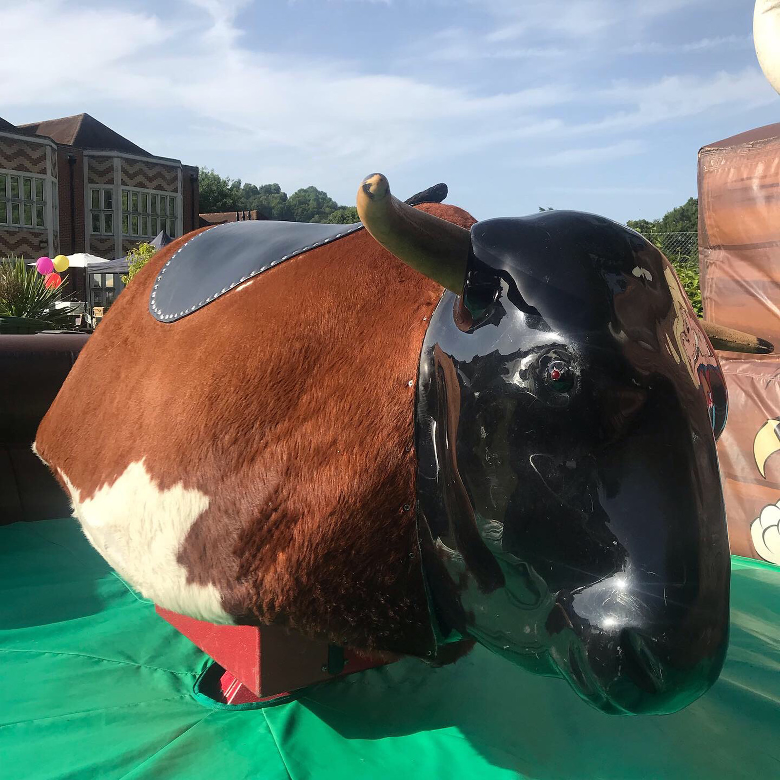 Rodeo Bull - Hire in SOUTHAMPTON, HAMPSHIRE AND SURROUNDING COUNTIES ...