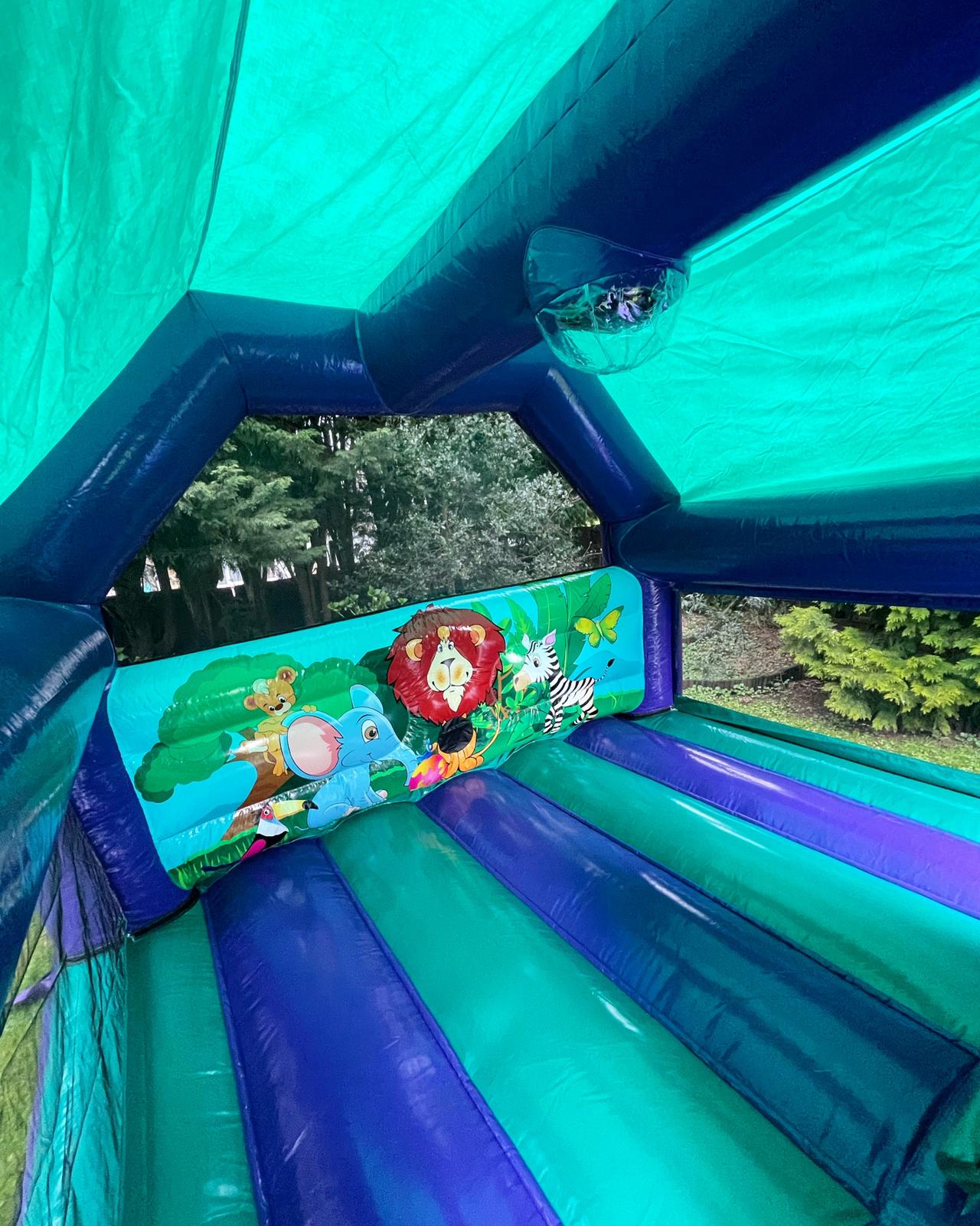 Cheeky Monkey Bounce n Slide - Bouncy Castle Hire in Greater London