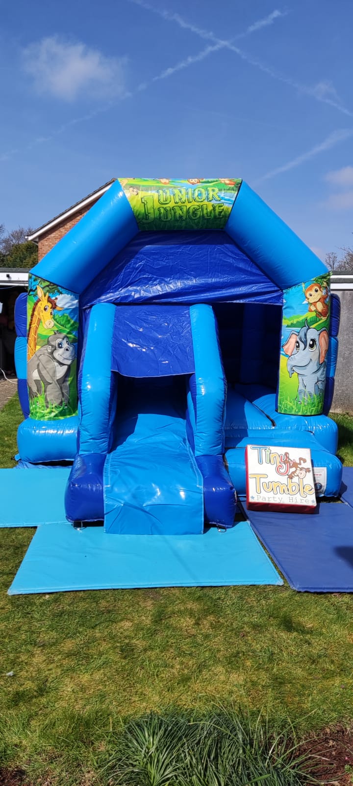 Jungle Blue Castle With Slide - Hire in Portsmouth, Fareham, Gosport ...
