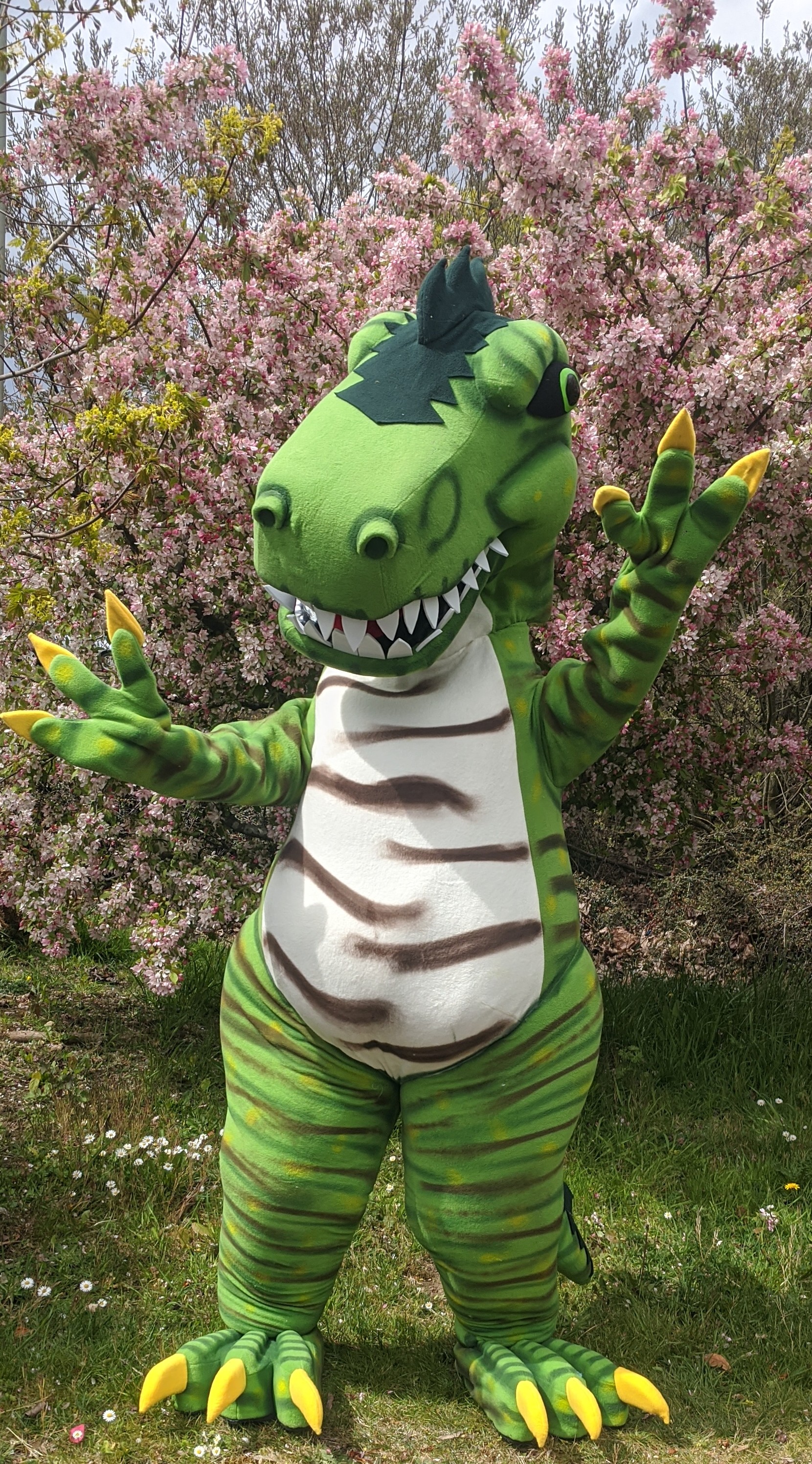 Mascot Appearances - Bouncy Castle Hire in Ashford, Aldington, Appledore