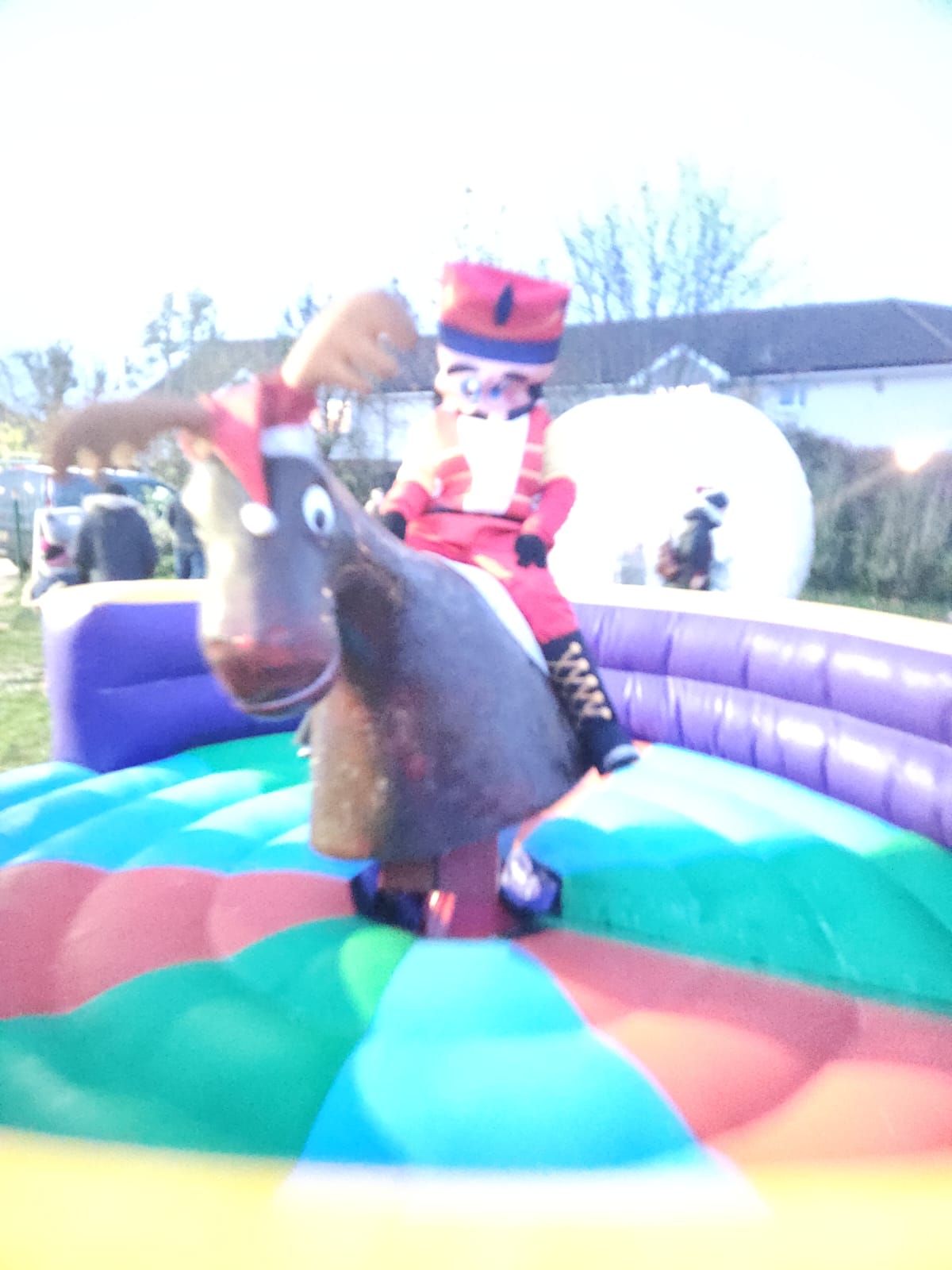 Rodeo Reindeer Hire, Christmas Rodeo Reindeer Rental, UK