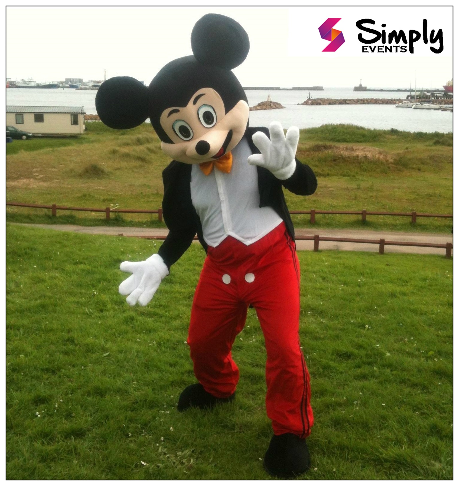 Mickey Mouse look-a-like - Bouncy Castles, Inflatables, Wedding & Dance ...