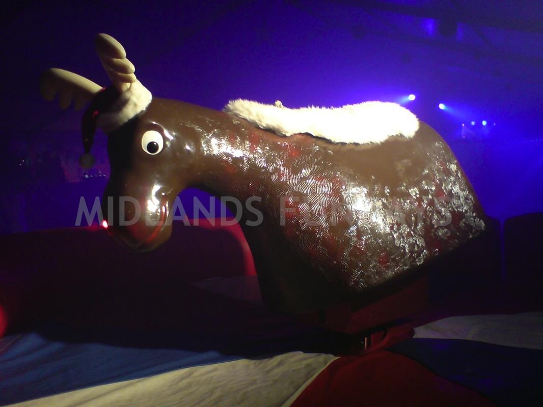 Rodeo Reindeer Ride - Fun day entertainment in Midlands, West Midlands ...