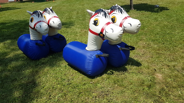 Interactive Inflatables - Party and Bounce House Rentals in Fredericton ...