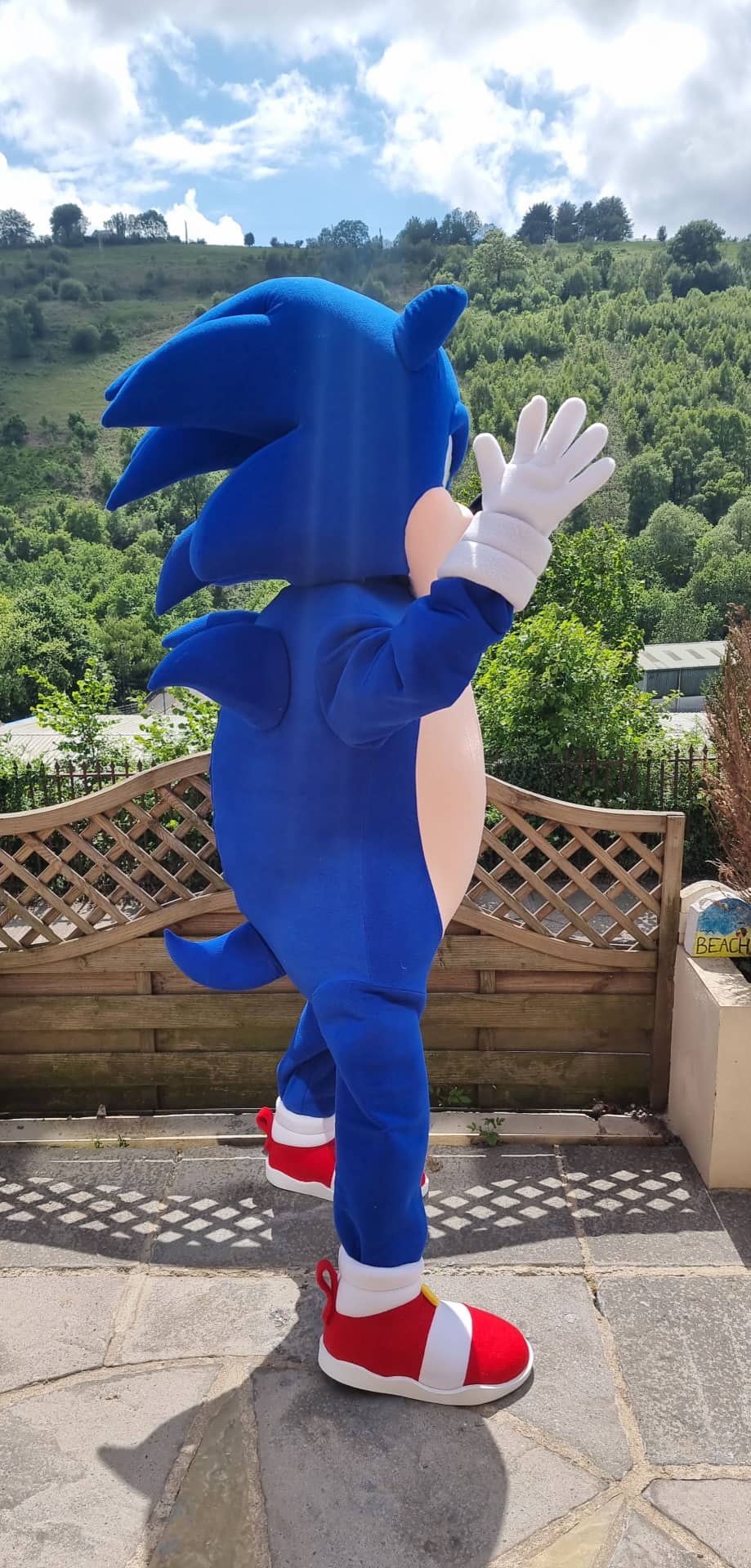 Sonic Mascot - Inflatable and Party Hire in Monmouthshire