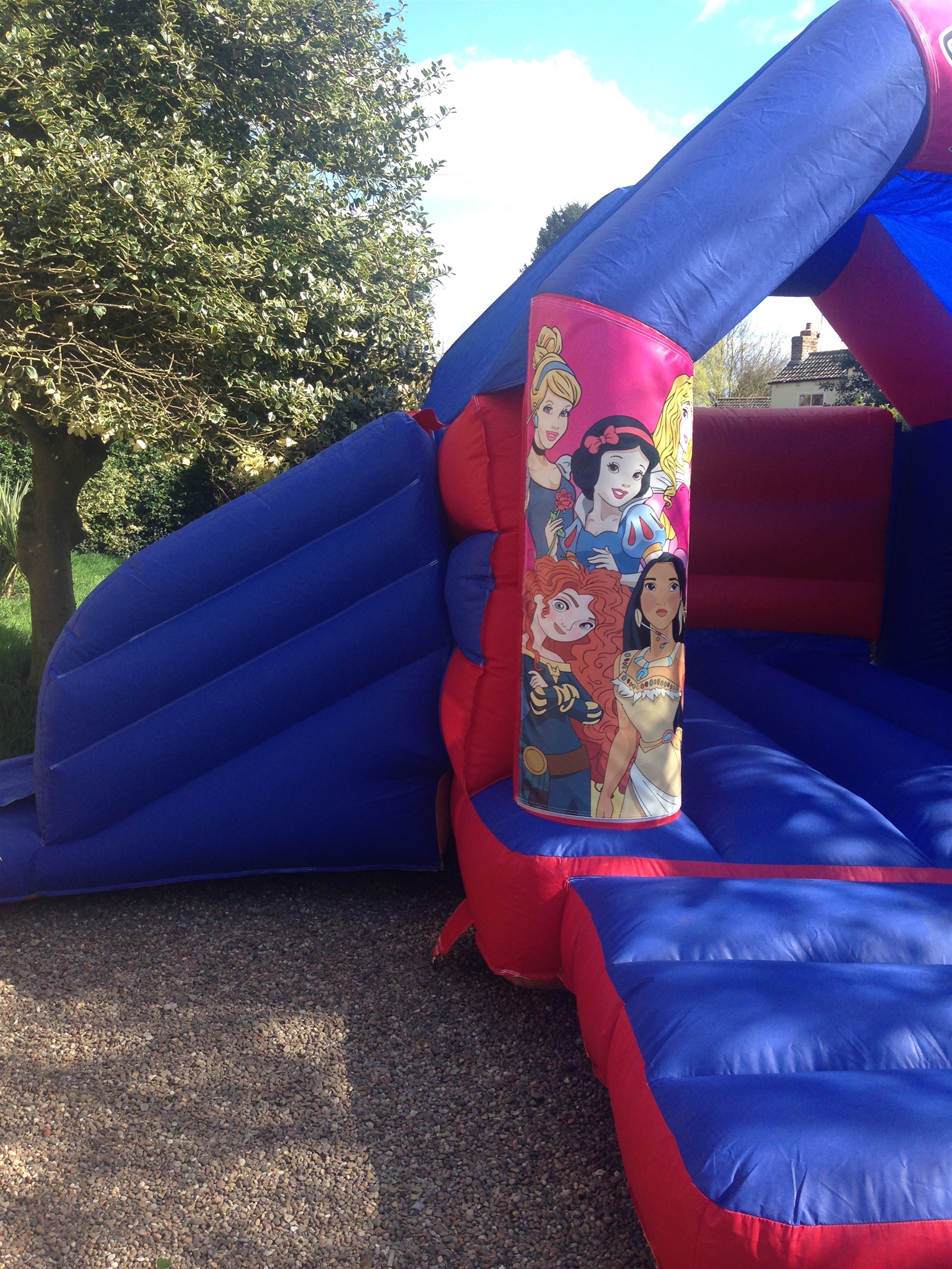 15 x 16 Blue and Red Princess Bouncy Castle Slide Combo - Bouncy Castle ...