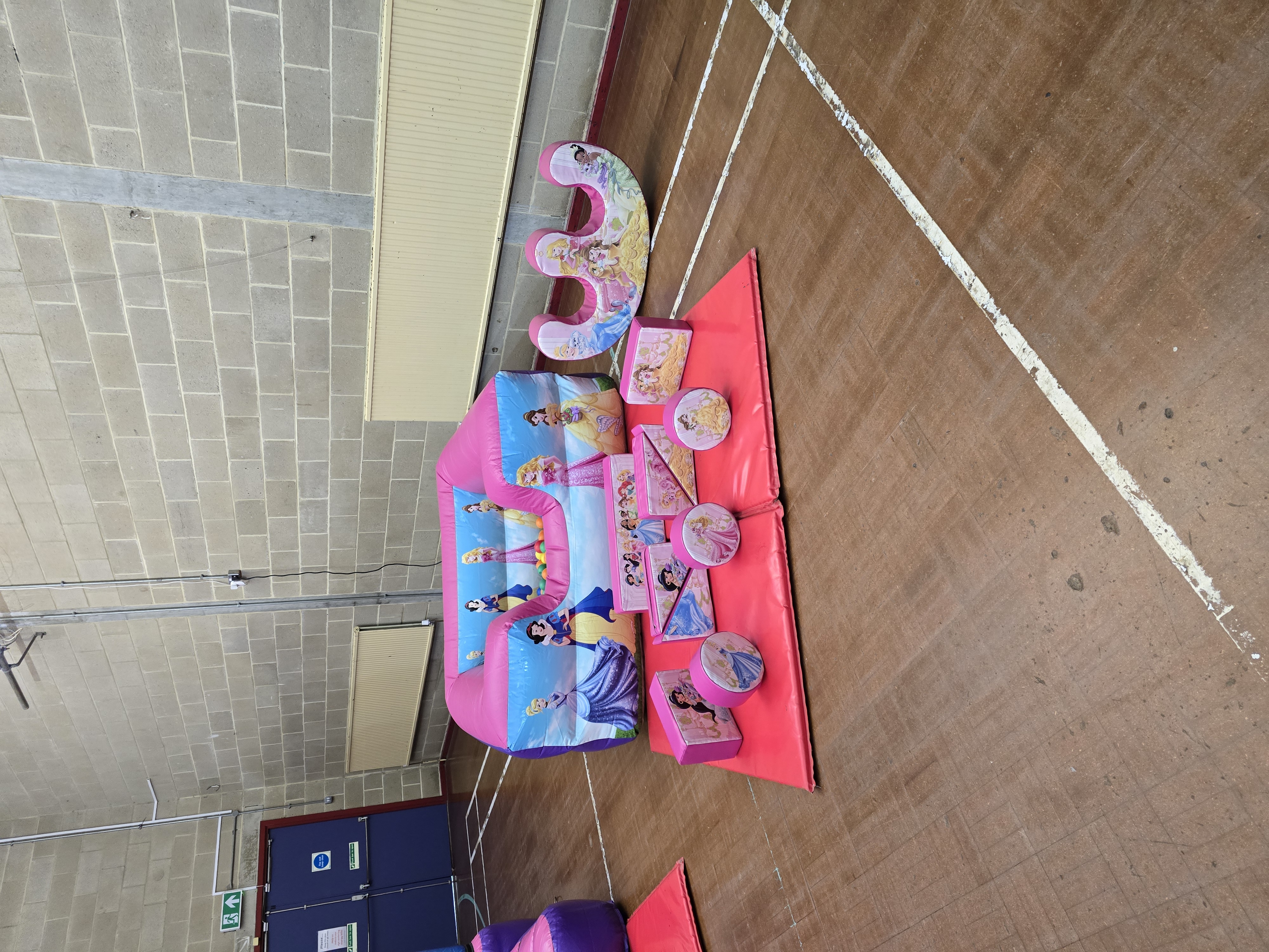 Princess Inflatable Ball pit & Soft Play - Hire in Reading | Kendalls ...