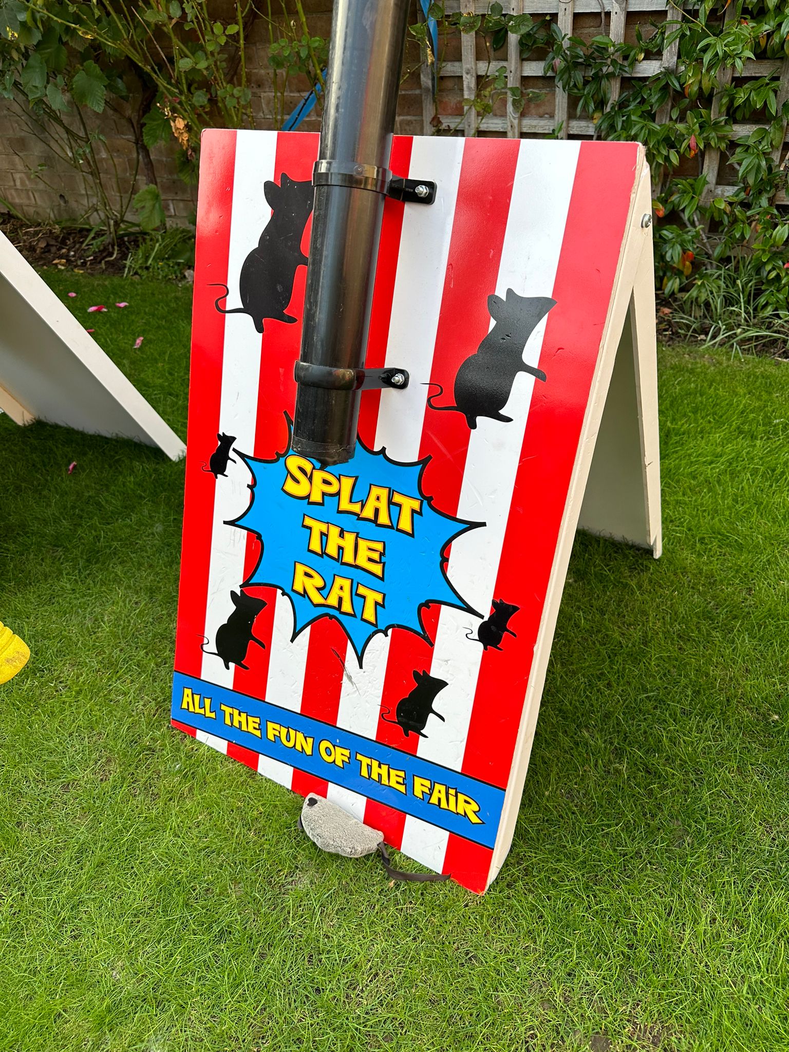 Splat the Rat Hire | Classic Game for Events
