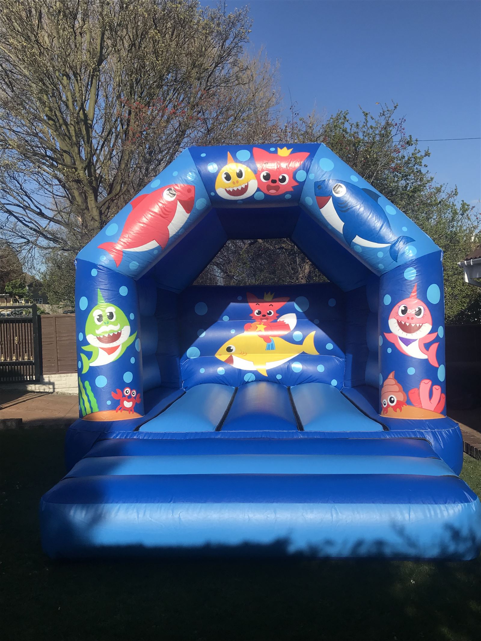 Kids Castles - Bouncy Castle Hire, Inflatables in Leeds, Harrogate ...