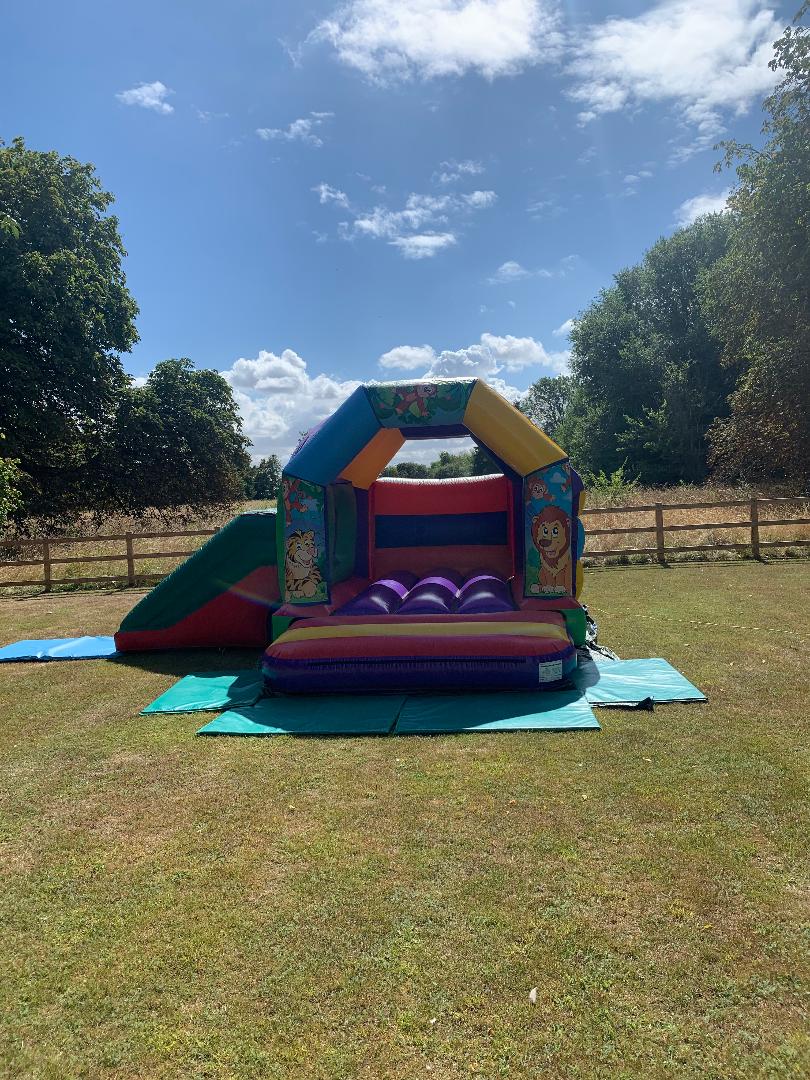 12ft x 15ft Jungle Side Slide Castle - Hire in St Neots, Little Paxton ...