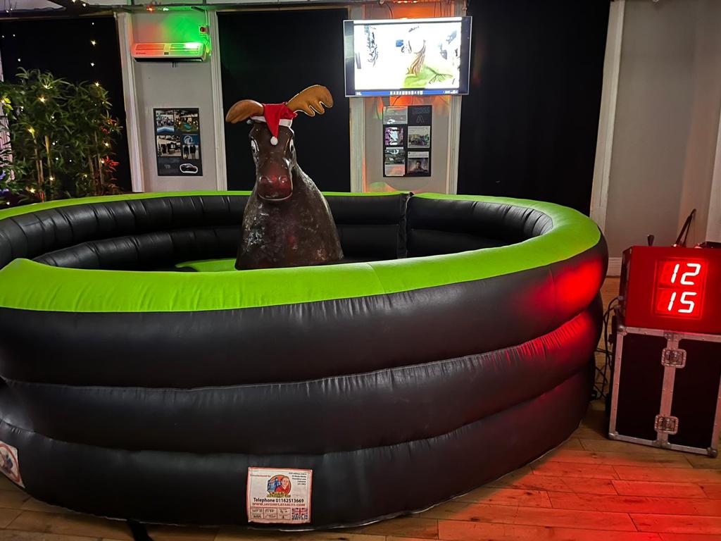 Rodeo Reindeer Hire, Christmas Rodeo Reindeer Rental, UK