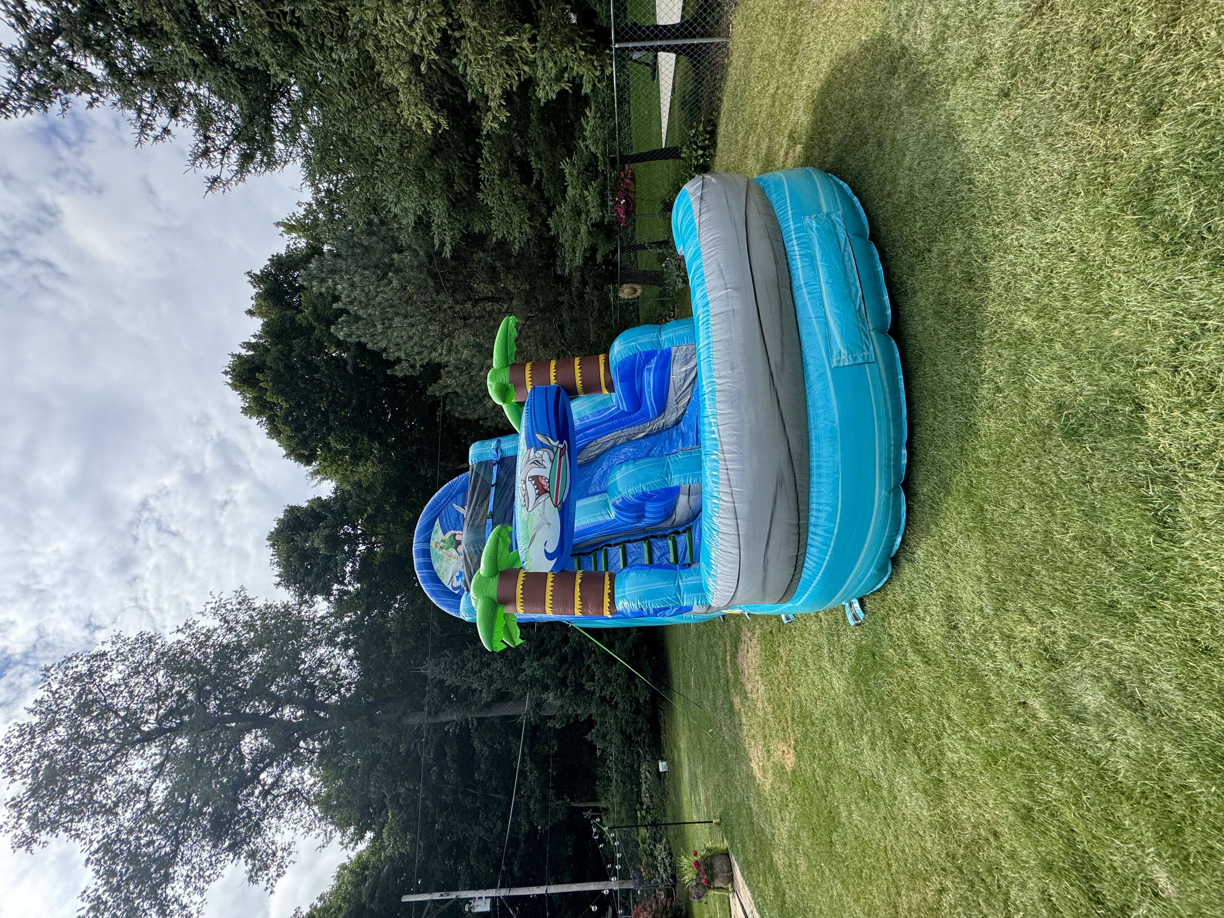Surfing Water Slide 18ft Tall - Hire in Il | Chocos rentals