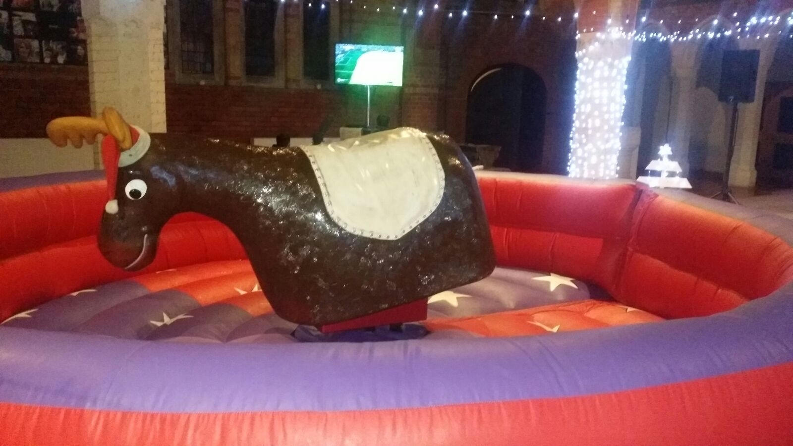 Rodeo Reindeer Hire, Christmas Rodeo Reindeer Rental, UK