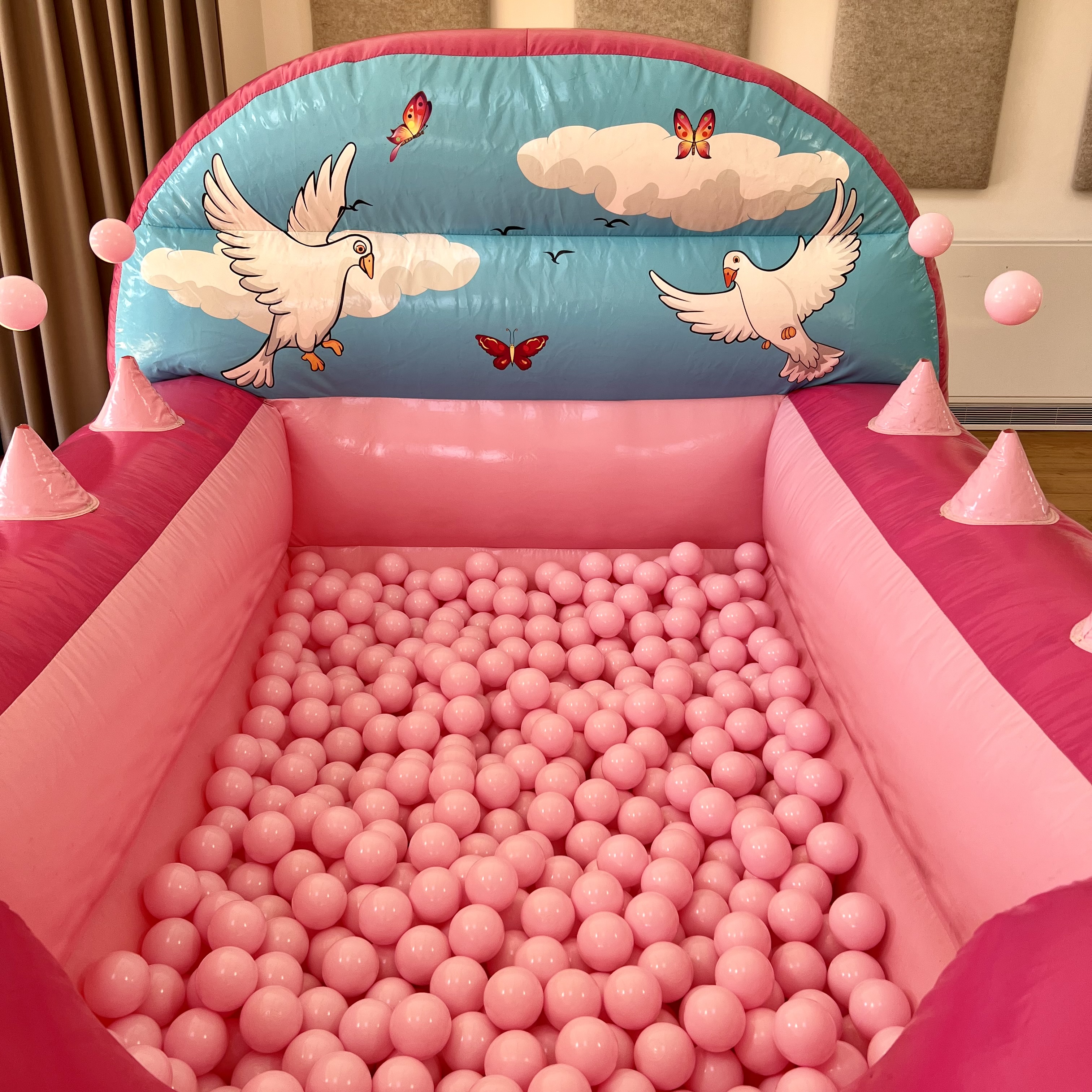 Princess Bouncy Castle and Air Juggler Ball Pit Package - Bouncy Castle ...