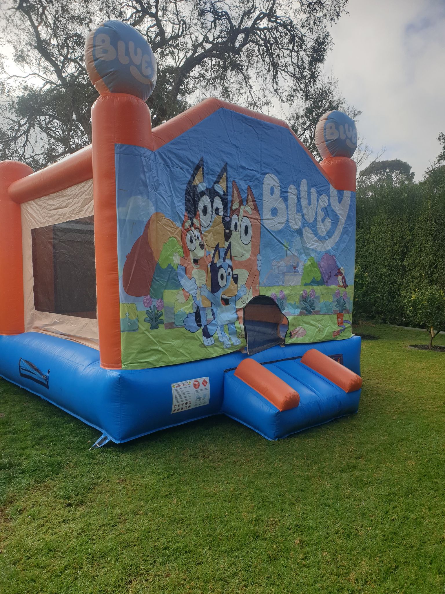 Bluey 4 x 4 Metres - Hire in Victoria | Melbourne Castle Hire
