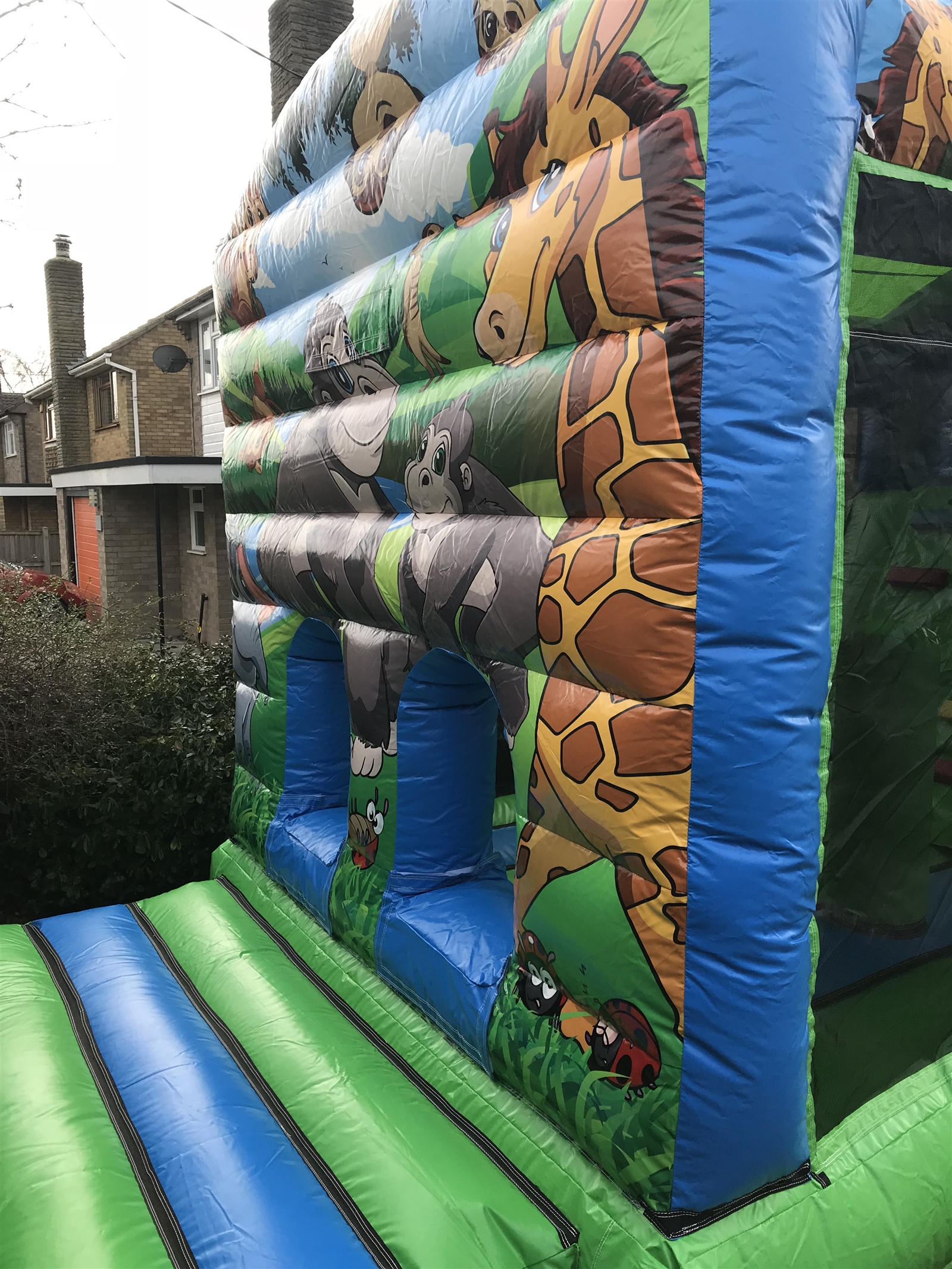 Jungle Fun Run Hire