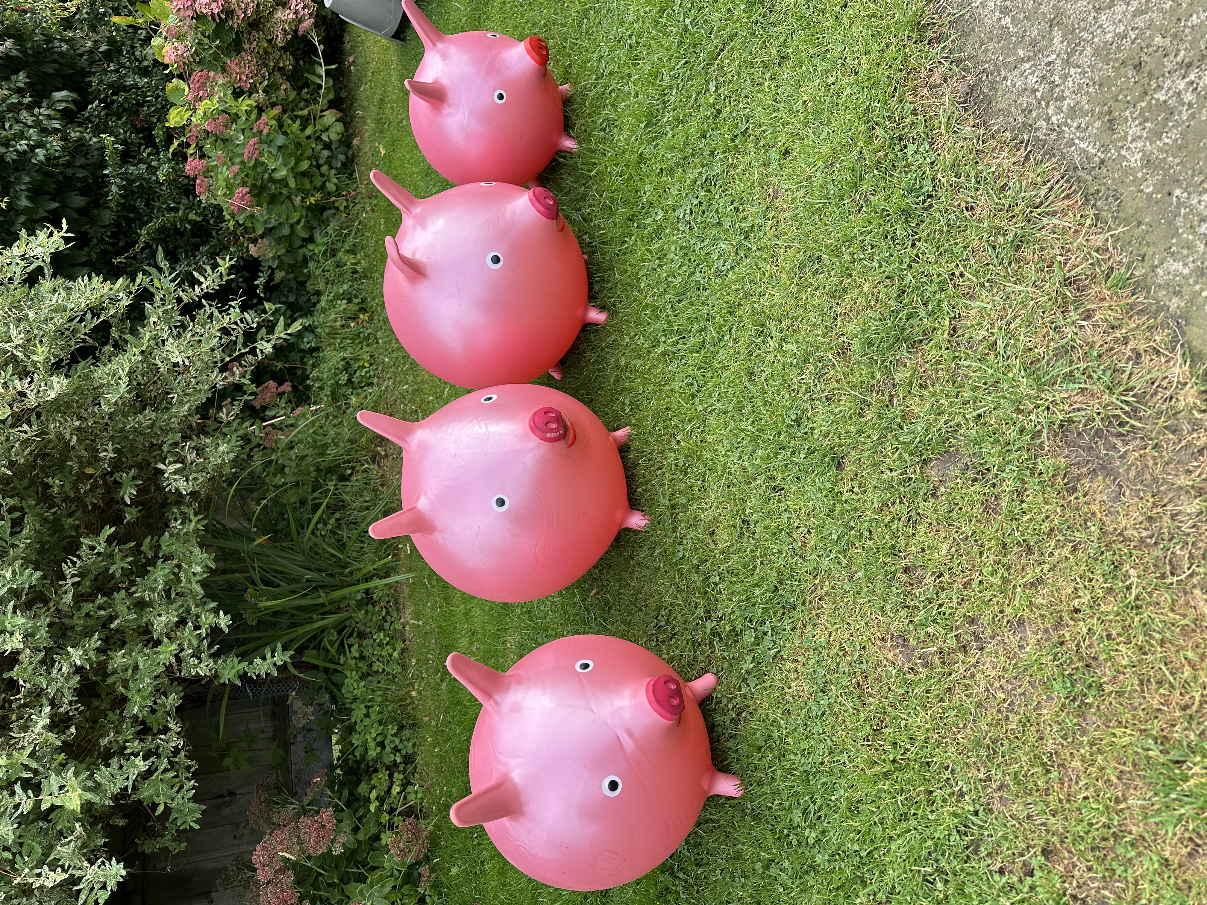 Pig Hoppers Hire in Chelmsford, Romford, Warley, and Upminster!