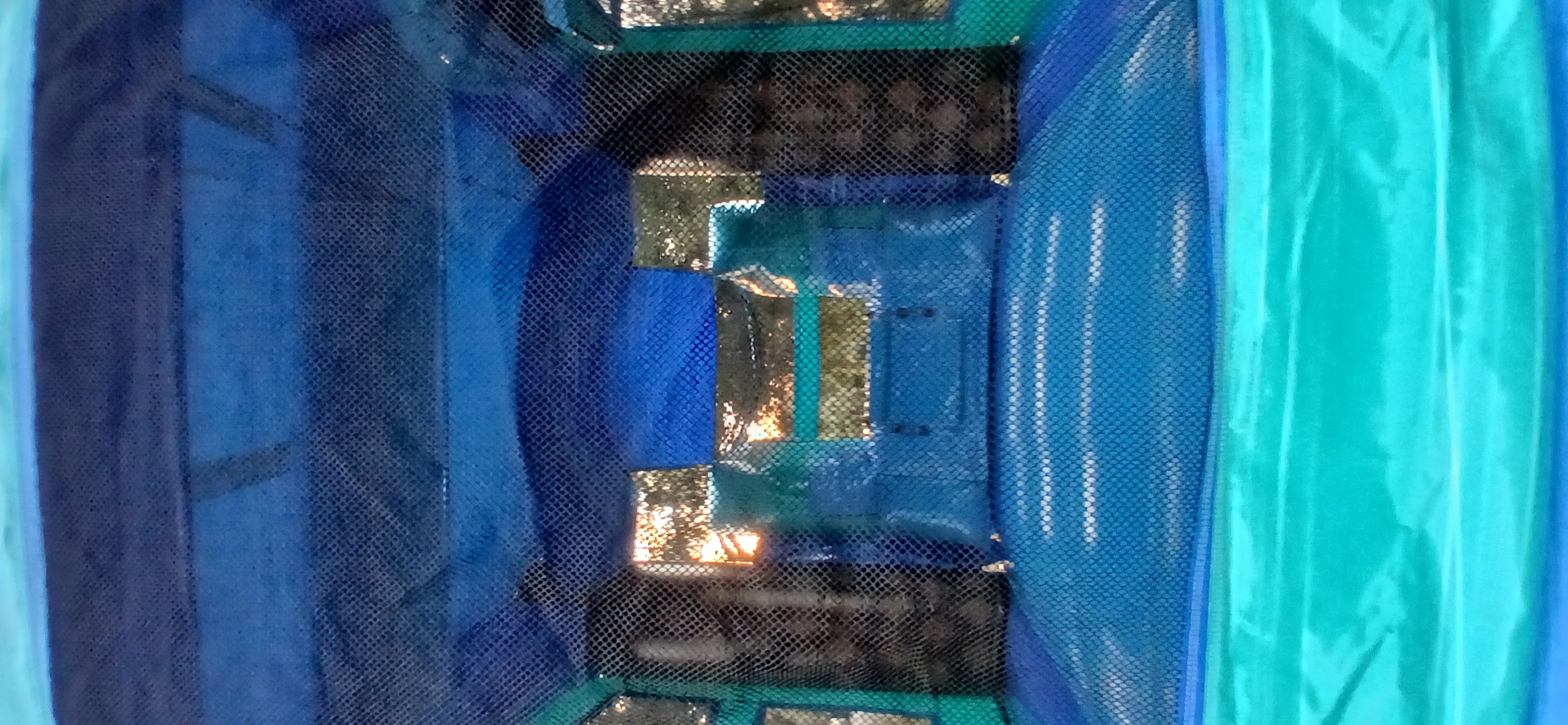 4 in 1 Bahama Blast Lite with splash pad (Wet/Dry) - Hire in Lake ...