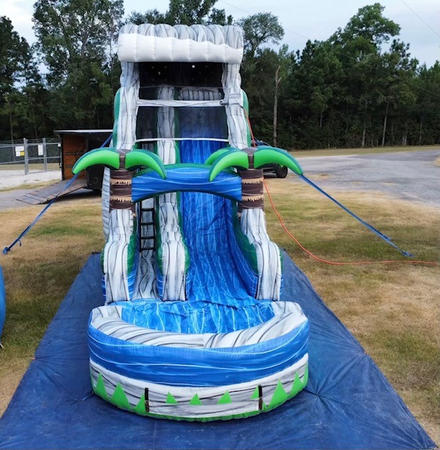 Palm Springs Waterslide - Bounce House Hire in Montgomery, Magnolia ...