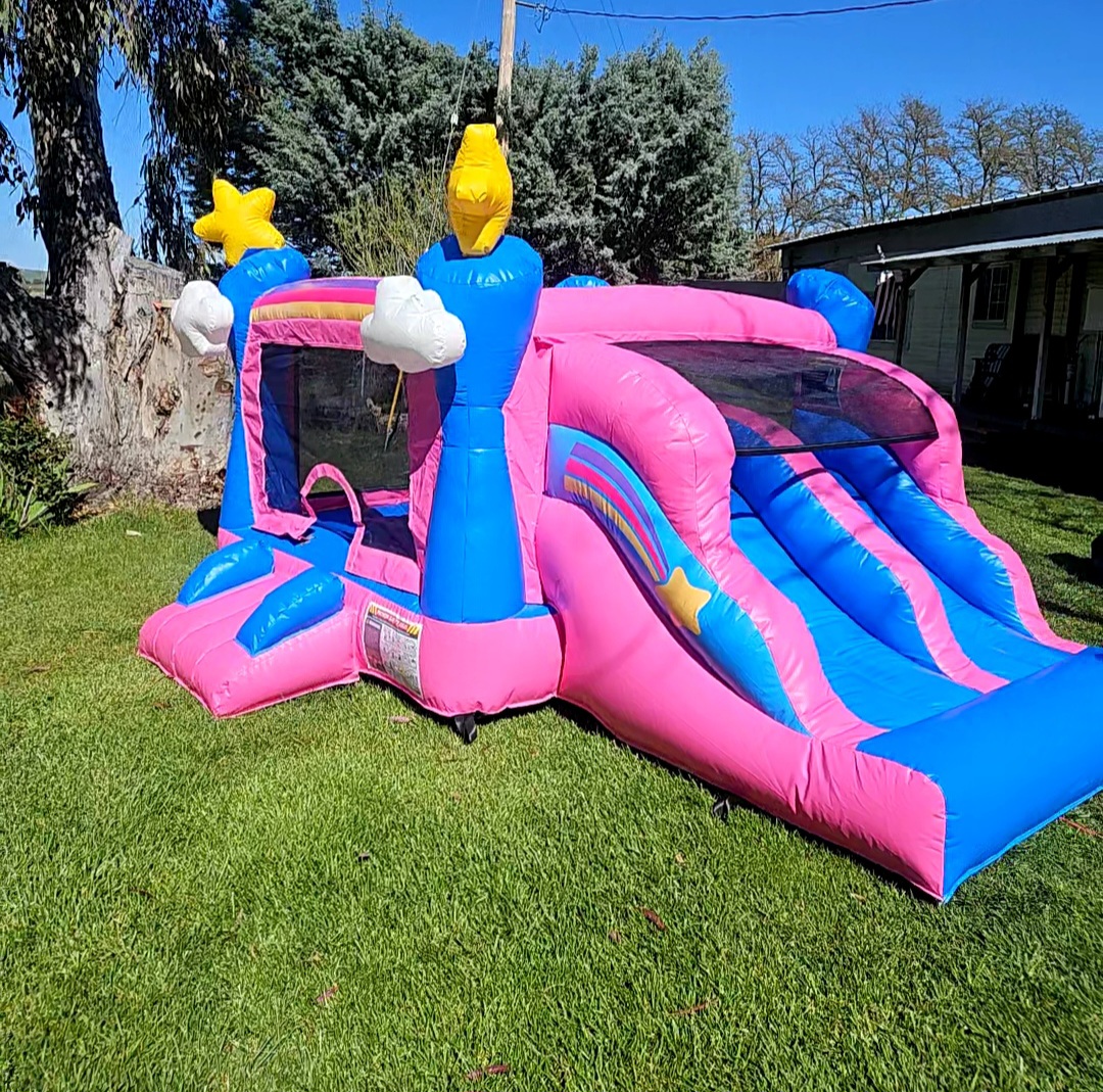 Combo Bounce Houses - Bounce House Rental in Ca | Ty's Bounce Barn