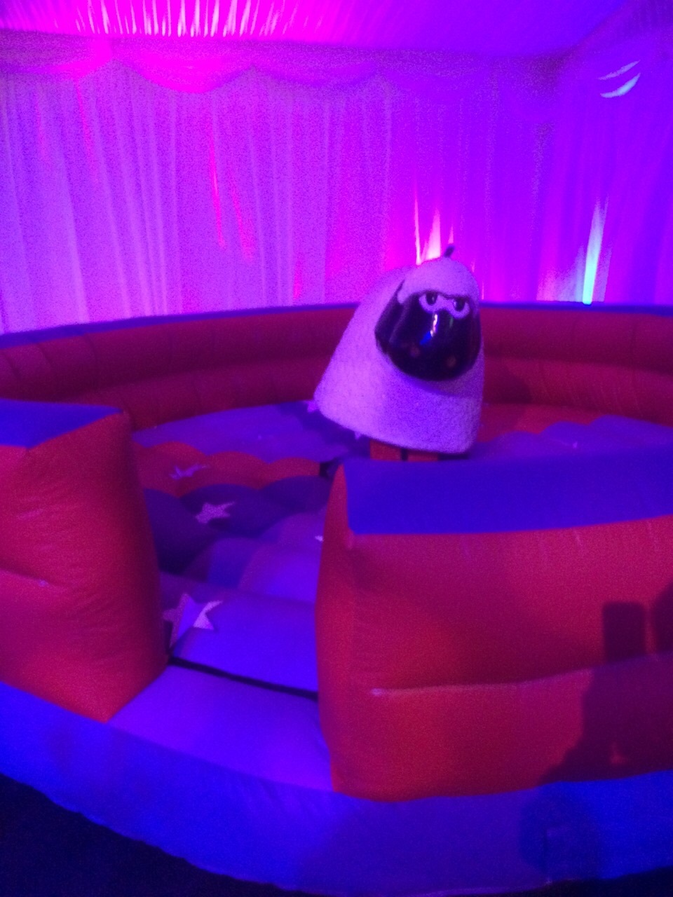 Rodeo Sheep hire - Rodeo Bull Hire in Essex, London & Nationwide ...