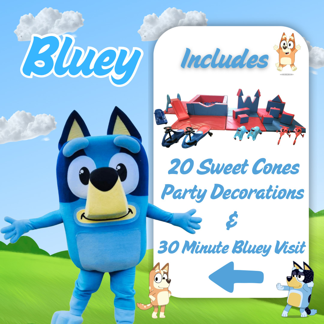 Bluey and Soft Play Package - Inflatables • Soft Play • Mascots ...