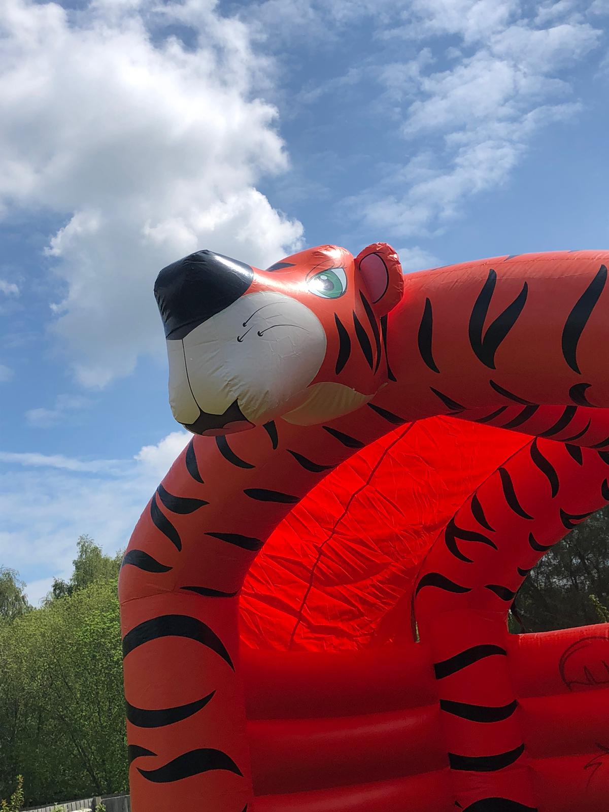 Tiger Adult Bouncy Castle - Bouncy Castle Hire, Fairground Attractions ...