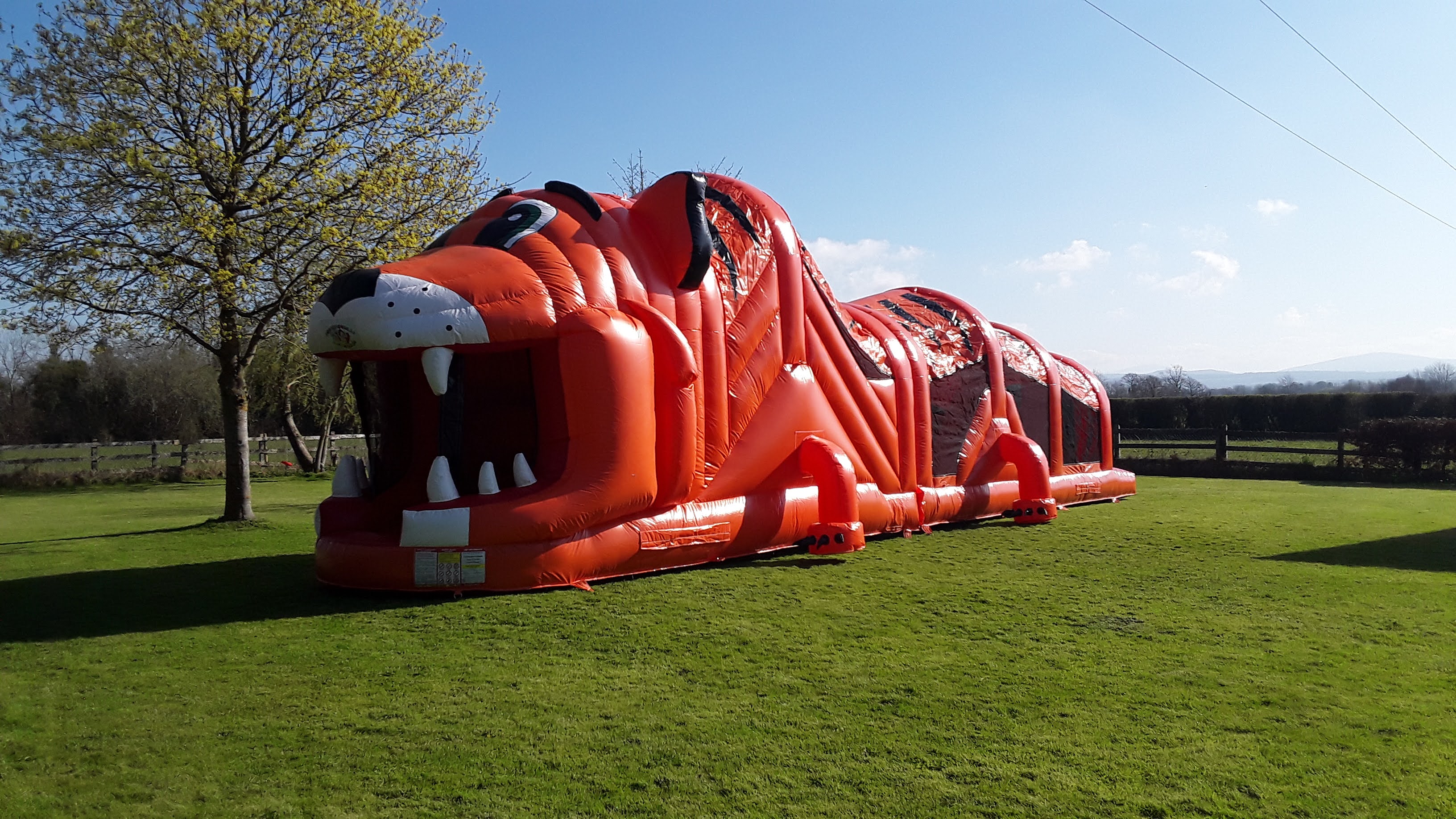 Tabby the Tiger High Slide Obstacle Course - Hire in Kilkenny | Bounce ...
