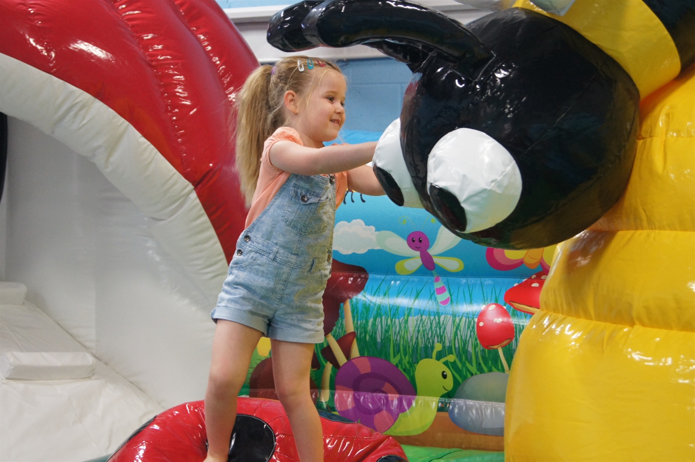 20ftx20ft Big Bouncy Bug Bed - Bouncy Castle Hire in Chichester & West ...