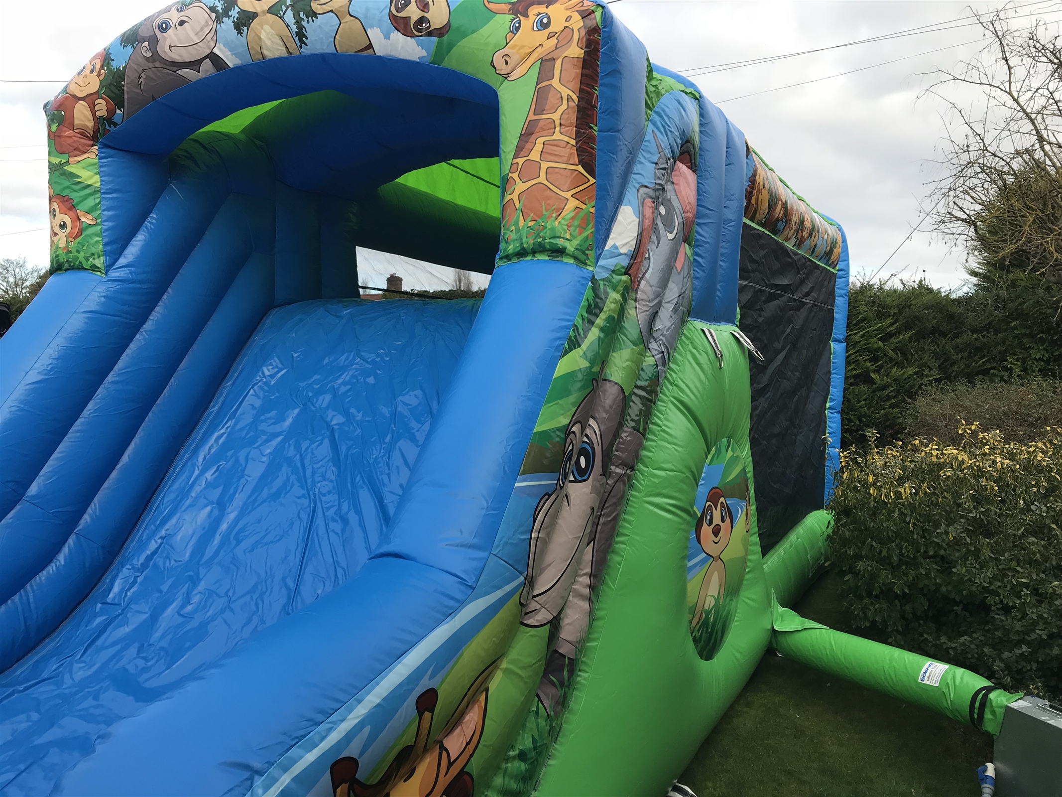 Jungle Fun Run Hire