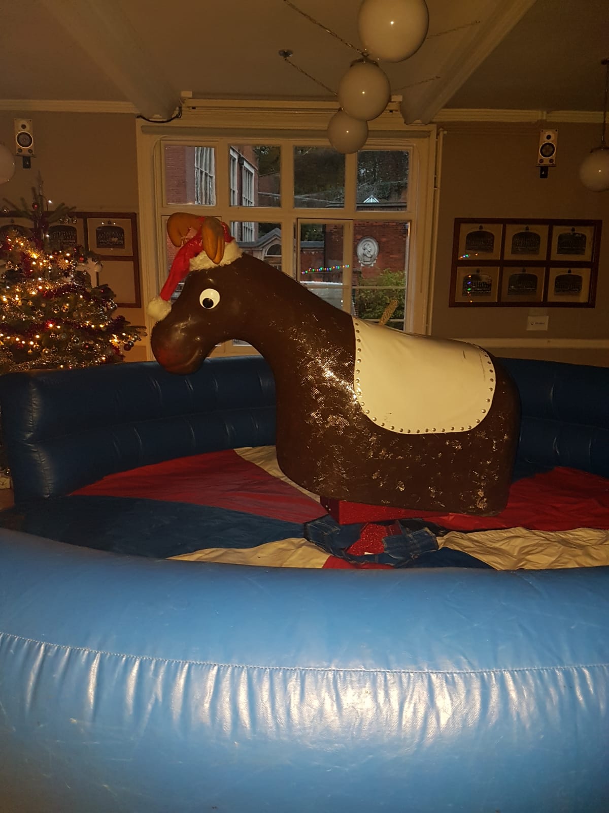 Rodeo Reindeer Hire, Christmas Rodeo Reindeer Rental, UK