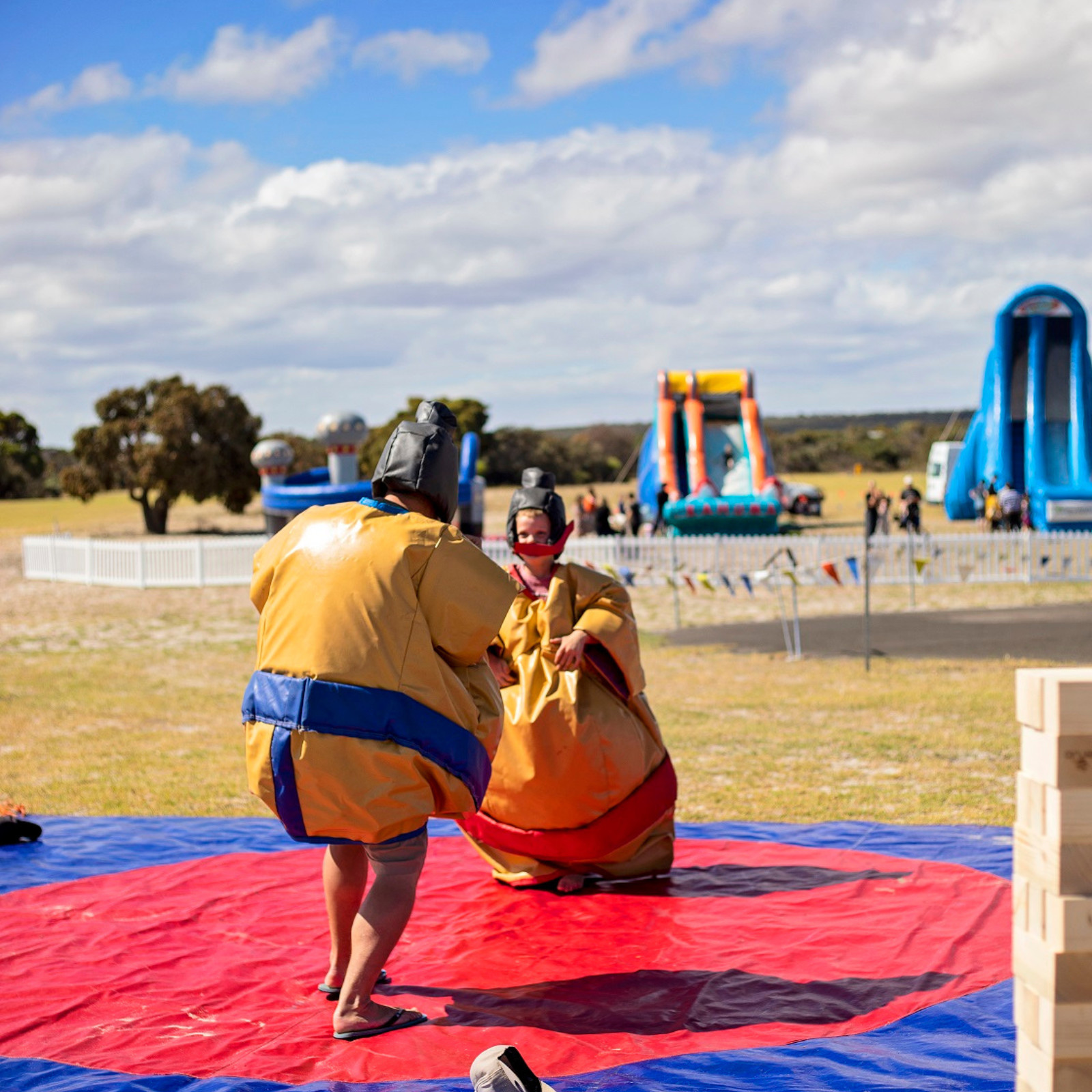 Outdoor Game Hire in Albany