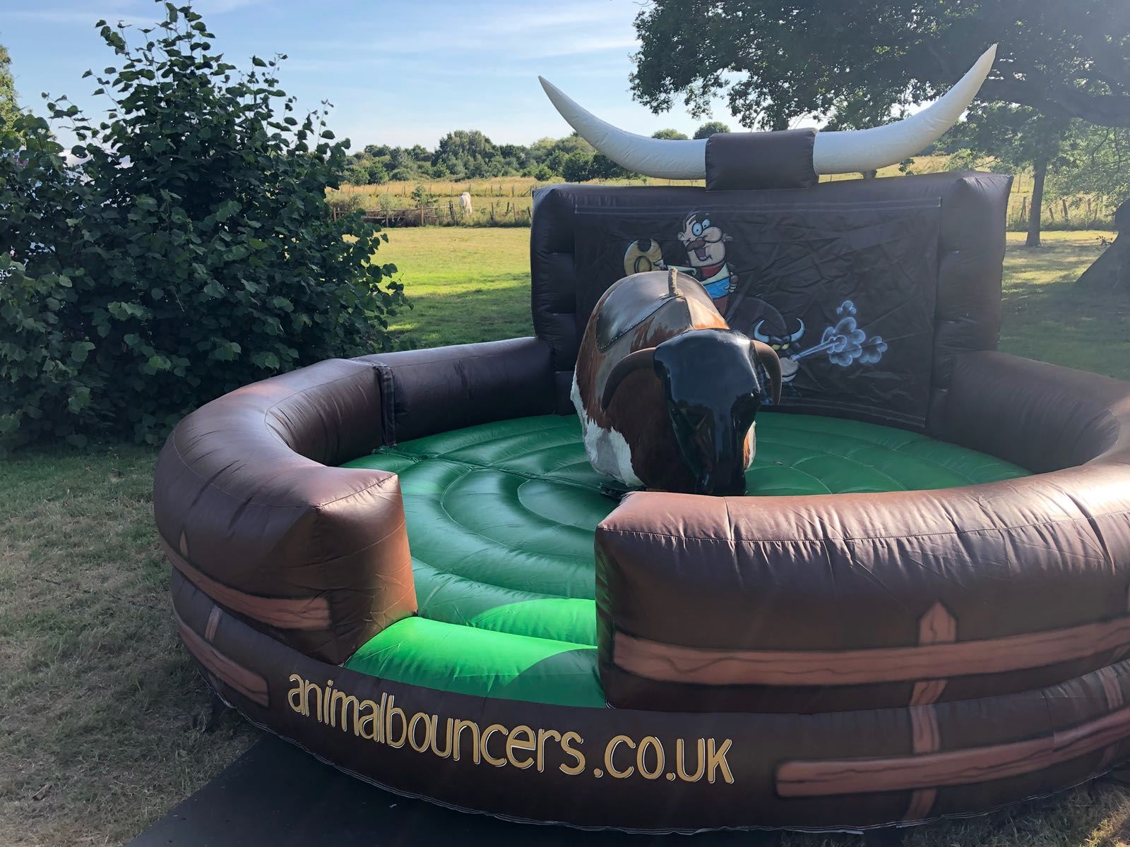 Rodeo Bull Hire - Bouncy Castle Hire, Fairground Attractions and Photo ...