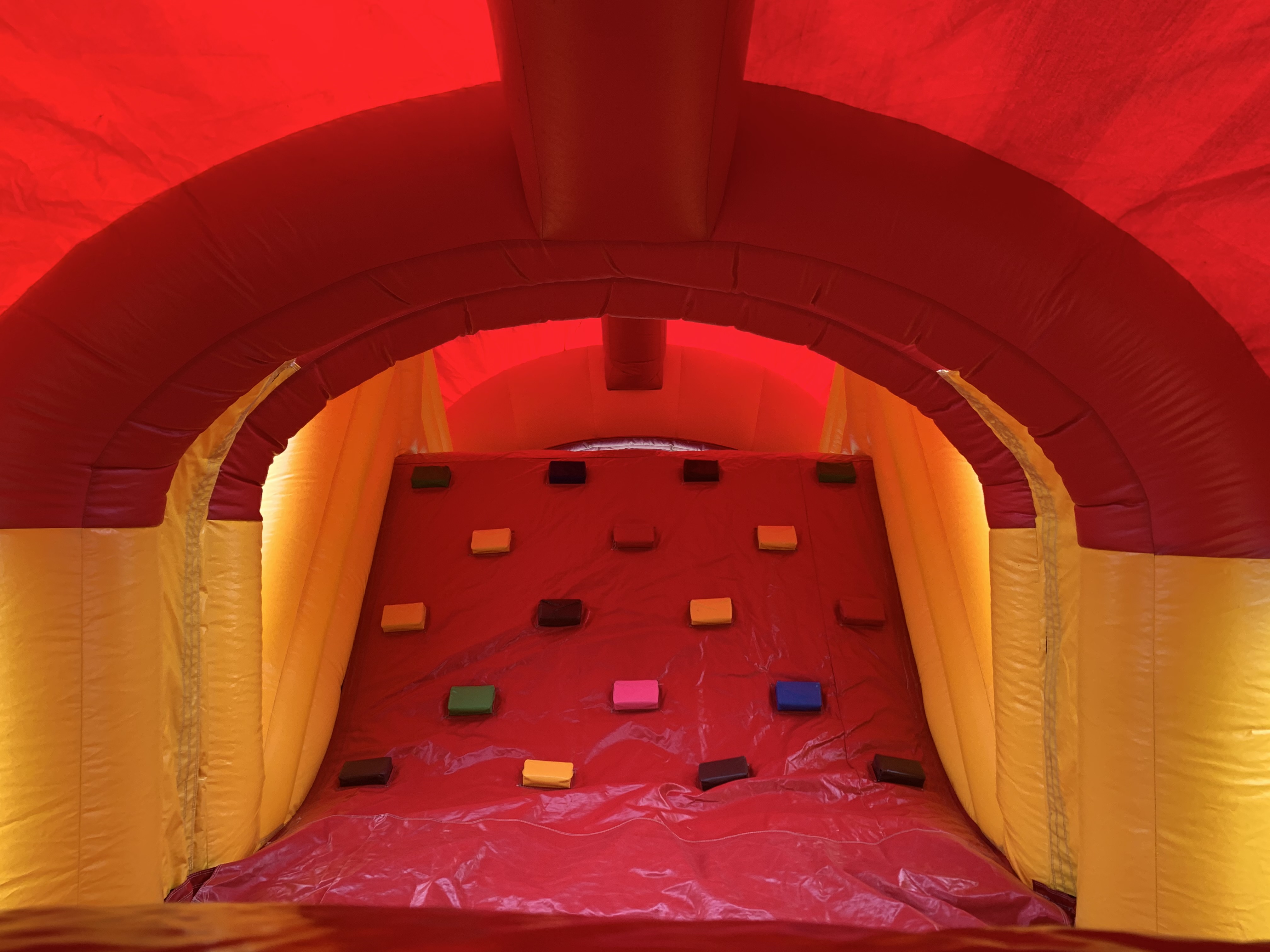 53 Foot Lizard Obstacle Course - Bouncy Castle / Inflatable hire in ...