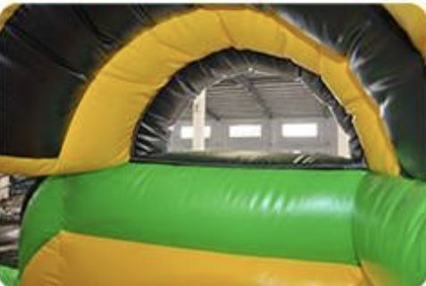 Bugs Life Inflatable Adventure Zone - Corporate entertainment and games ...