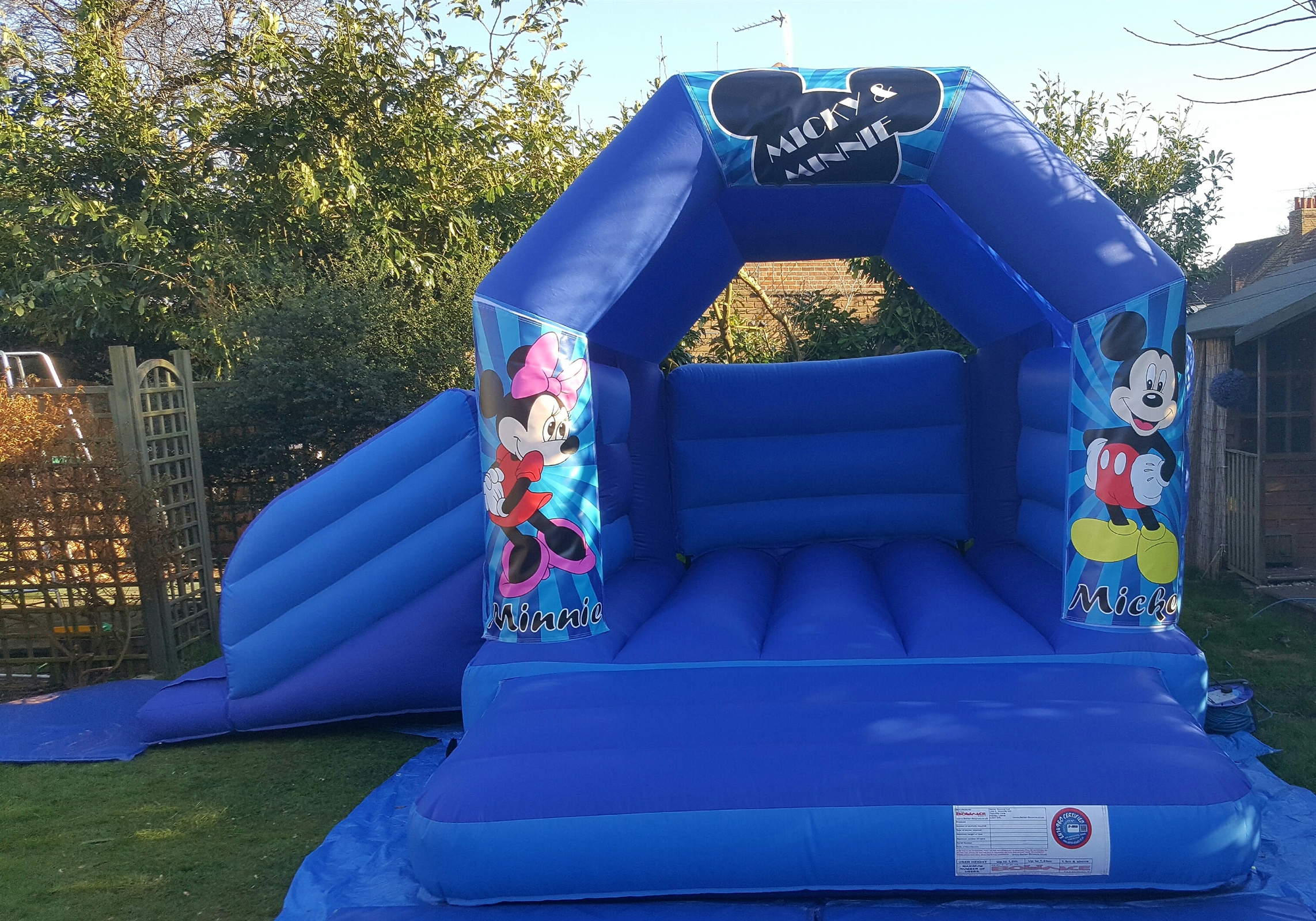MICKEY & MINNIE MOUSE BOUNCY CASTLE 16FT vs 15ft - Bouncy Castle Hire ...
