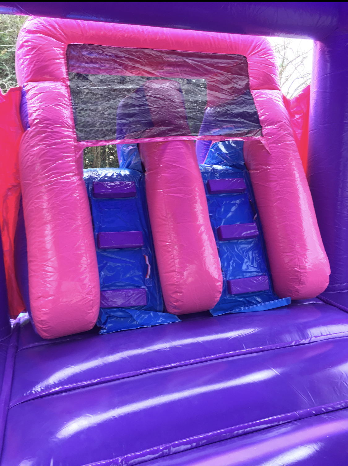 Pink Castle Combo Water Slide - Party Rental and Jumpers Rental in ...