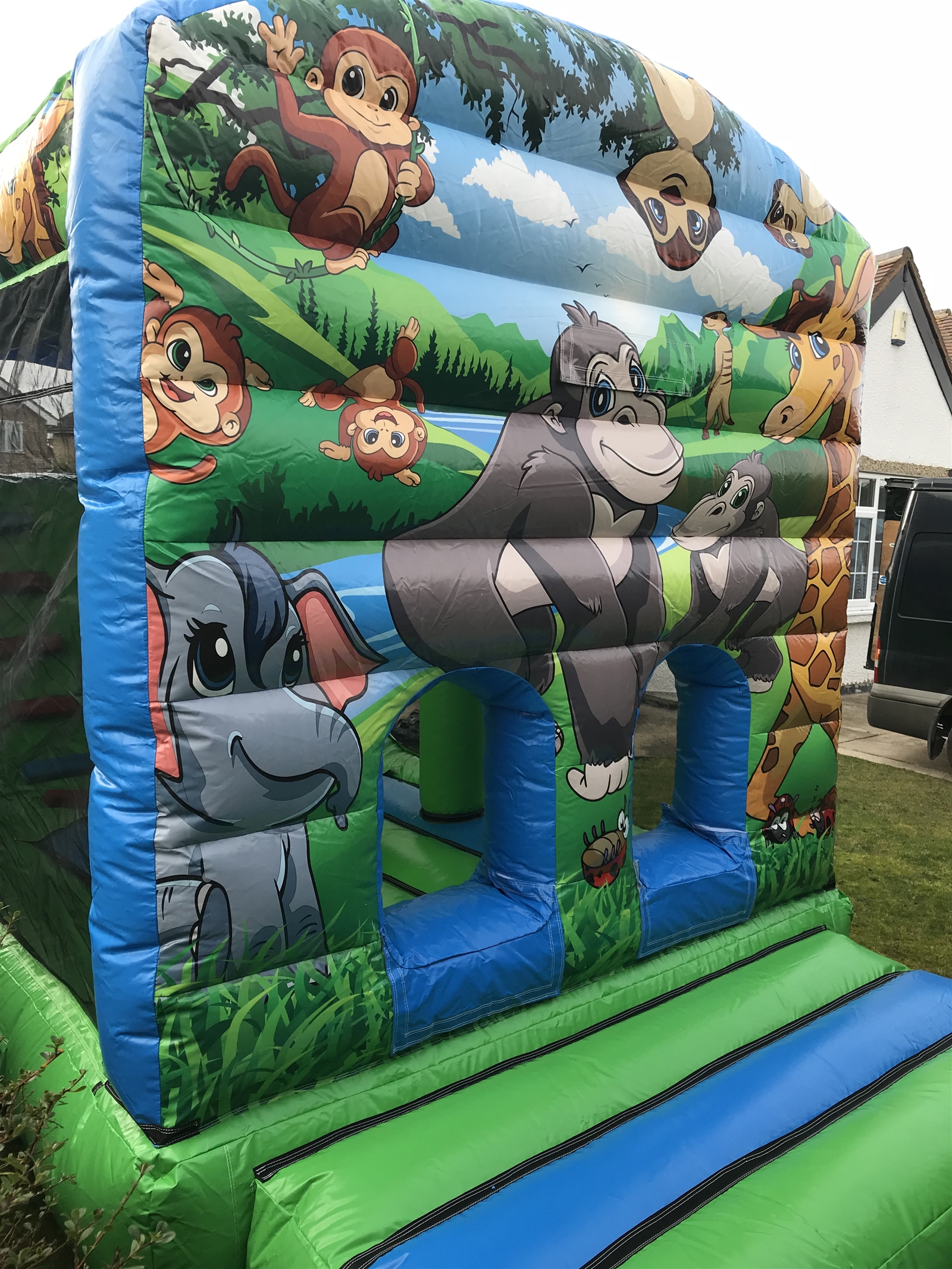 Jungle Fun Run Hire