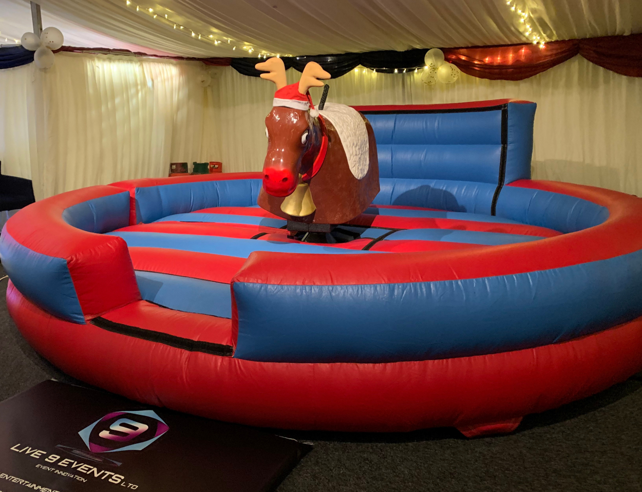Rodeo Reindeer Hire | UK Entertainment Hire