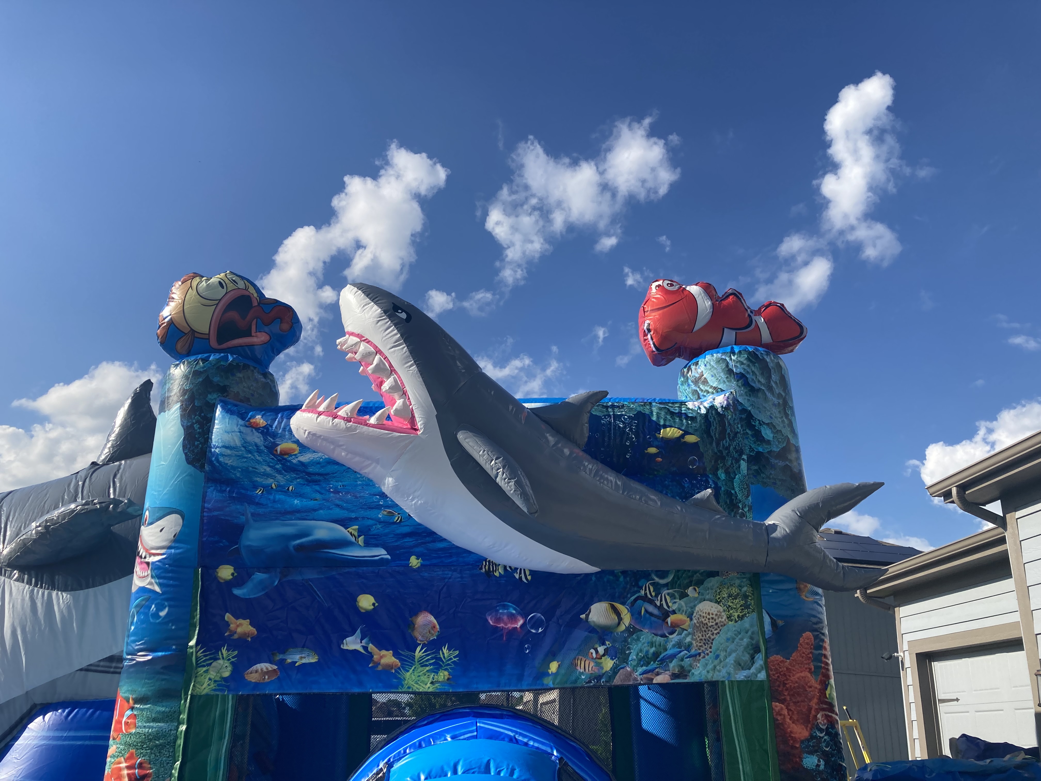 Shark Attack bounce house with Waterslide - Hire in Missouri