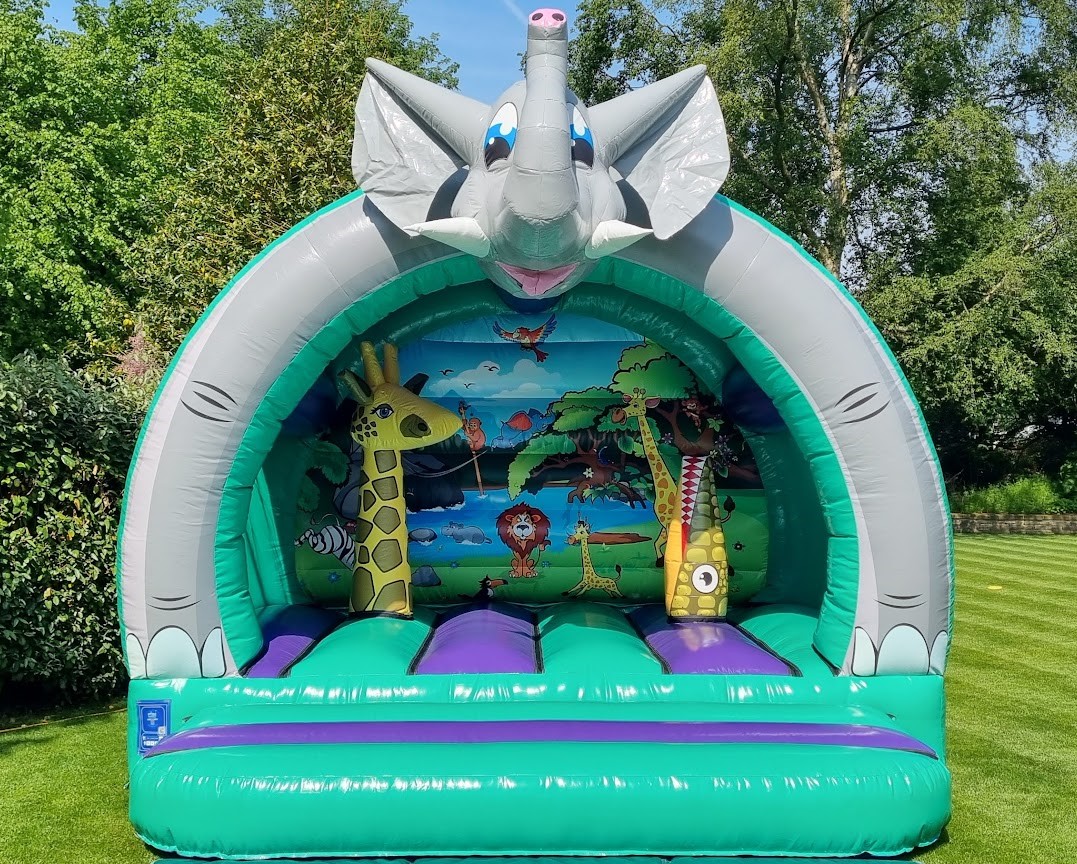 3D Bouncy Castles for Hire - Born 2 Bounce